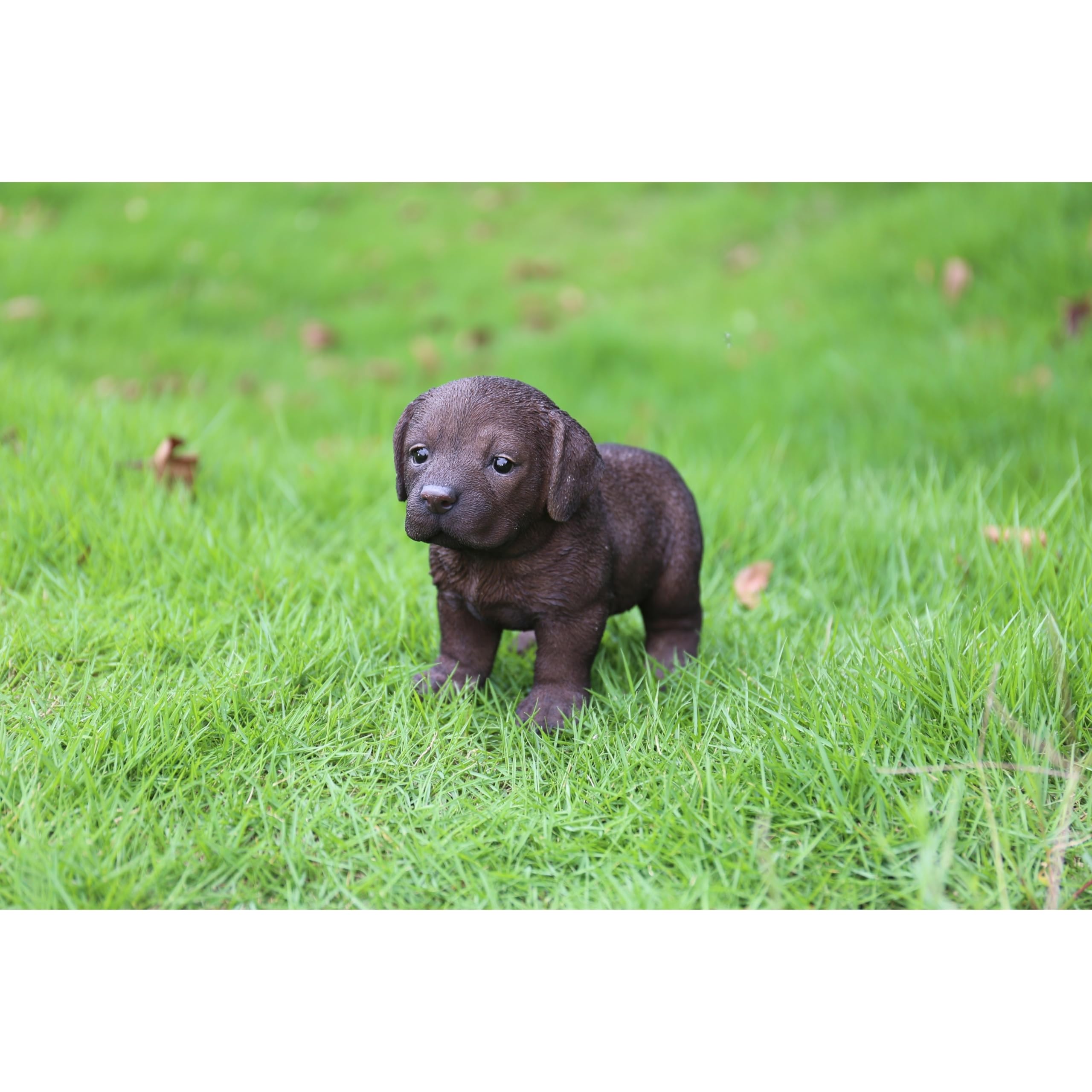 Amazon.com : Hi-Line Gift Ltd Standing Chocolate Labrador Puppy Statue ...