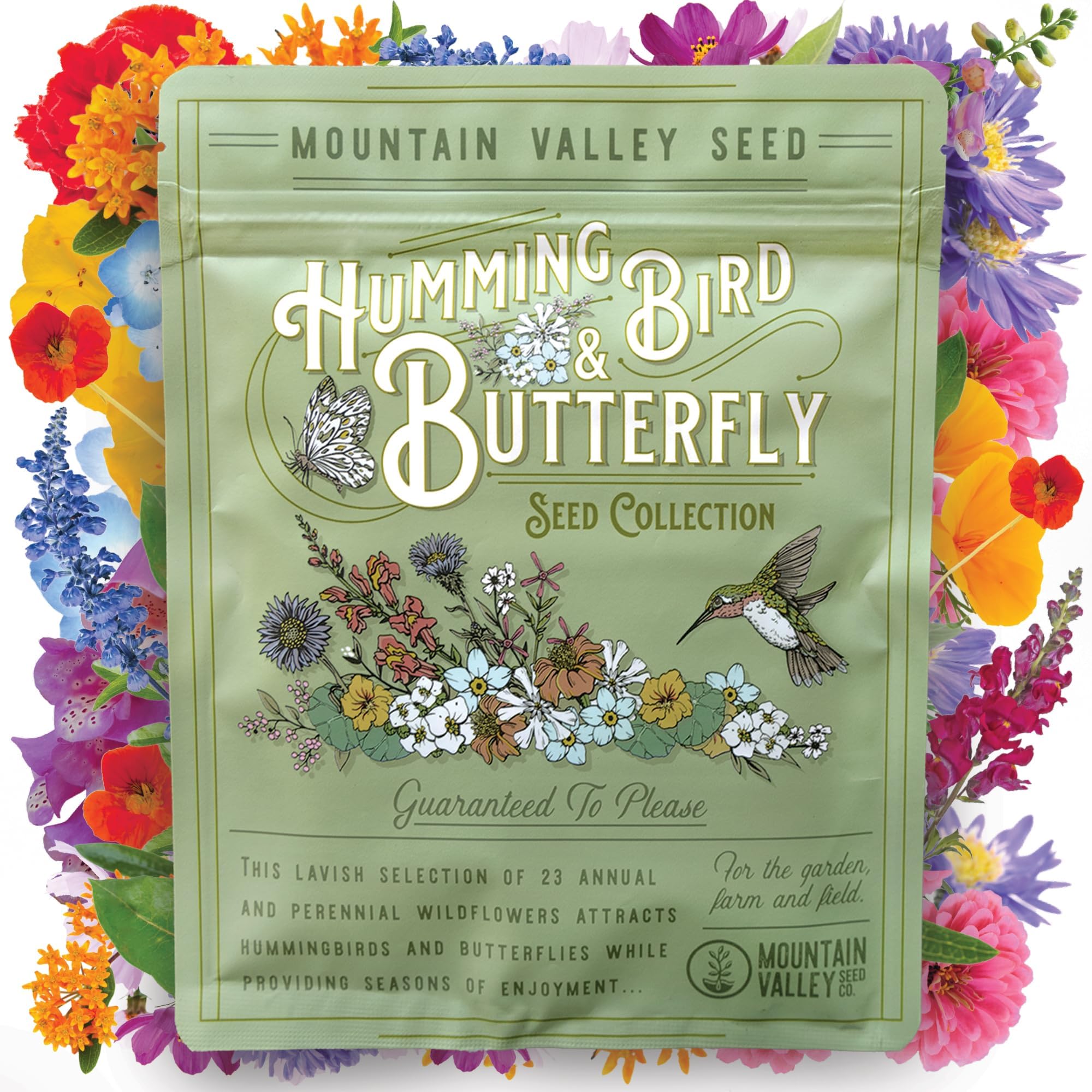 Amazon.com : Wildflower Seeds Bulk, 2 Oz. 80,000+ Seeds, Butterfly and ...