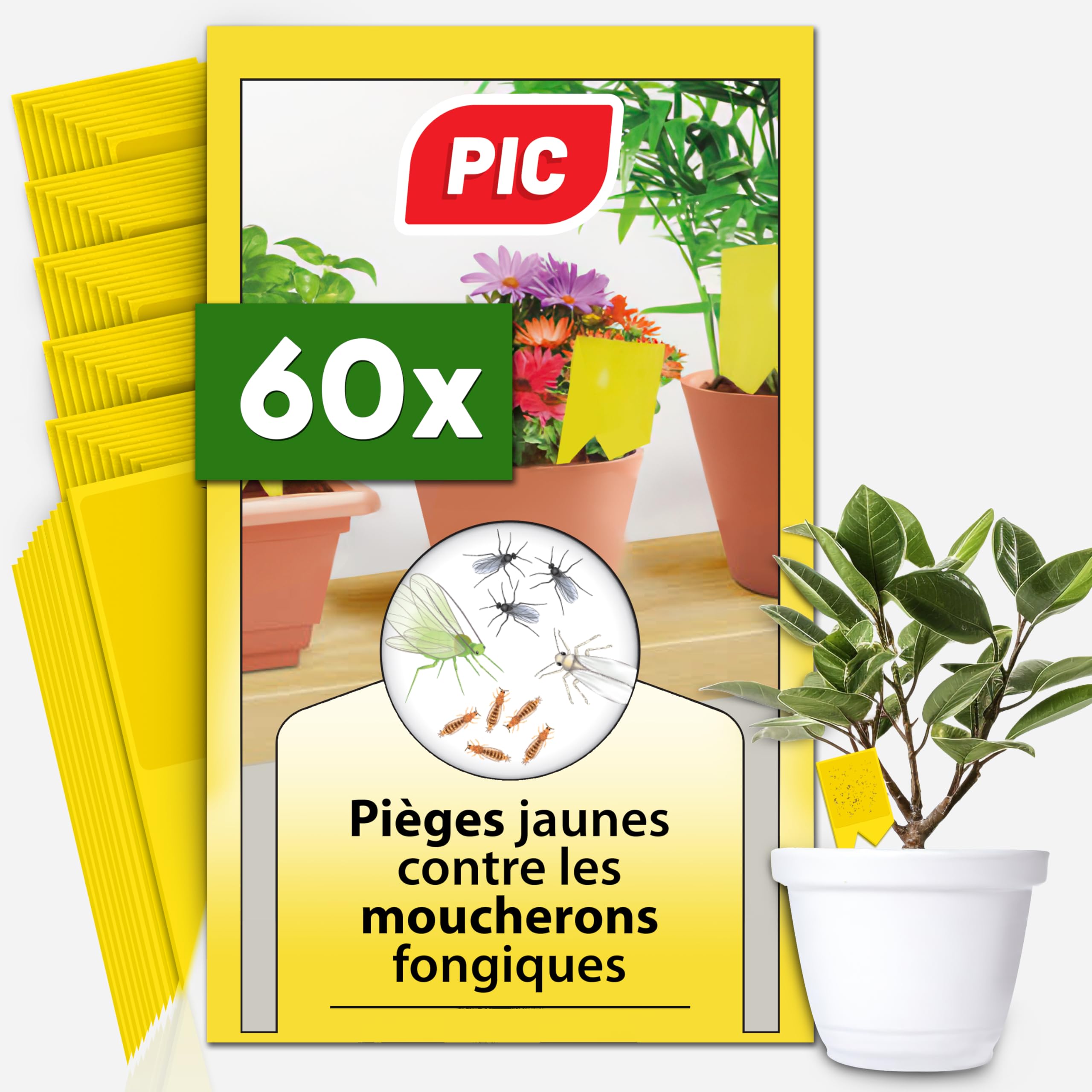 PIC Anti Moucherons Plantes Interieur – 60x Piege Moucherons Interieur ...