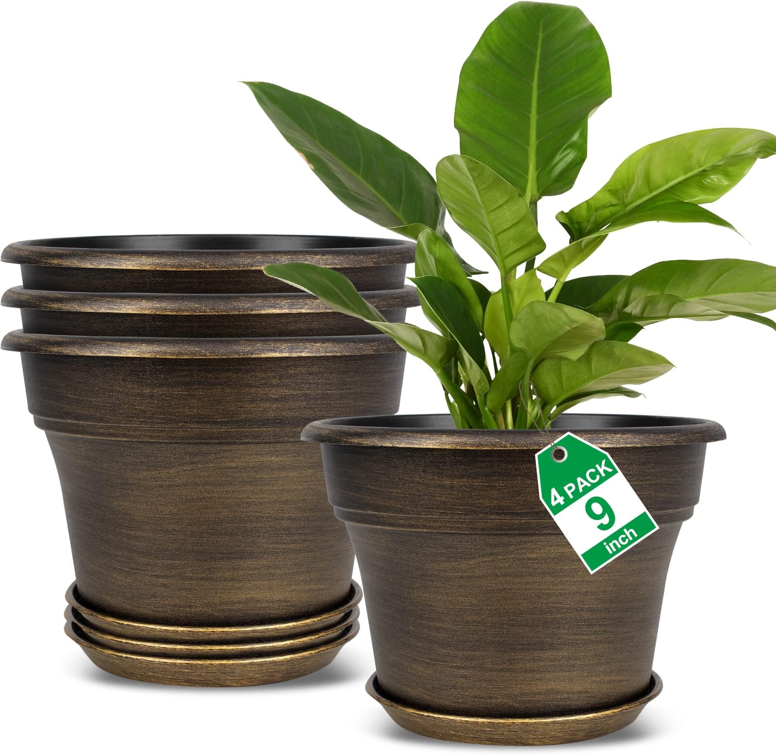 Amazon.com : Worth Garden Plastic Round 8" Plant Pots for Indoor Plants ...