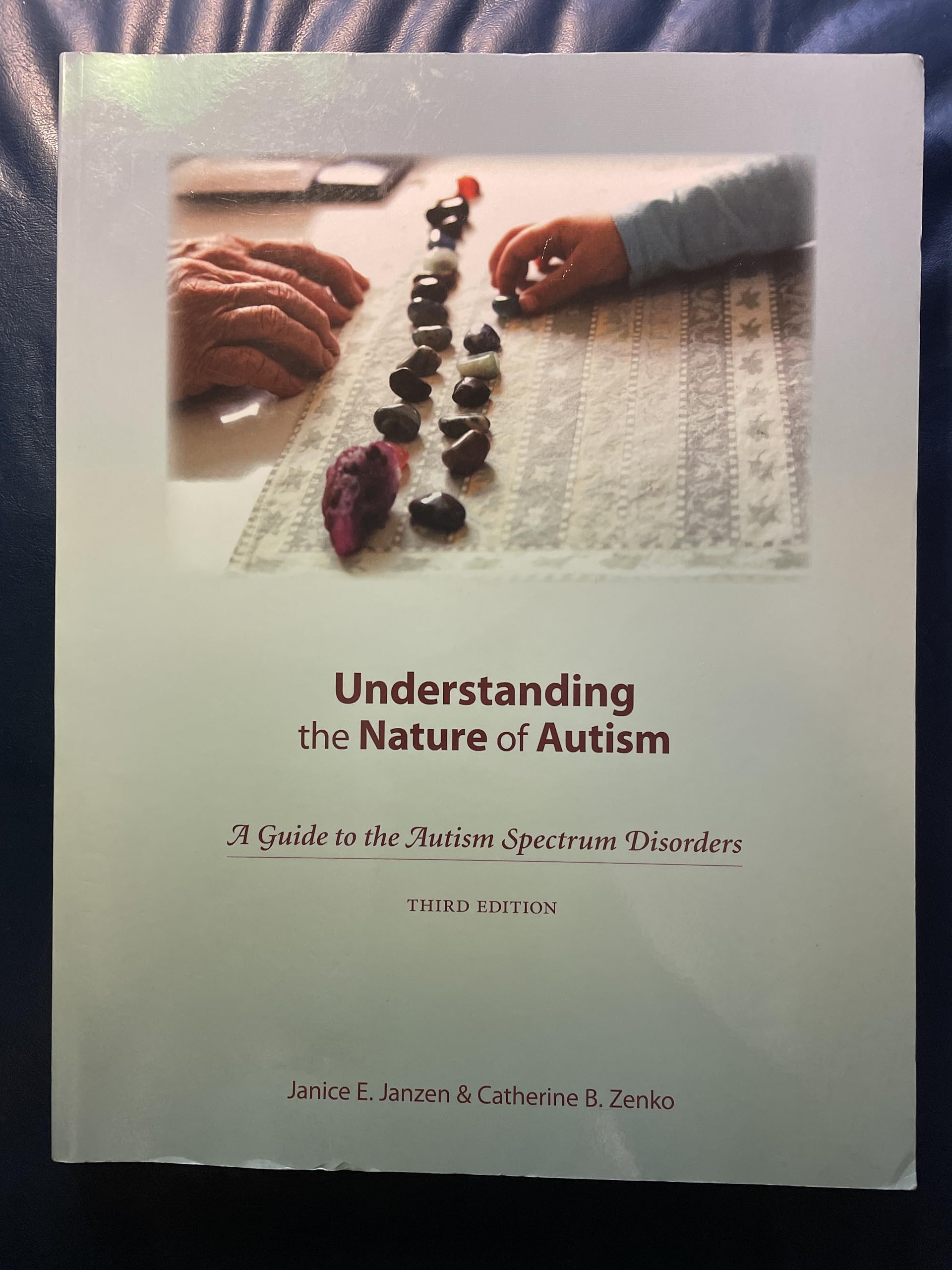 Understanding the Nature of Autism: A Guide to the Autism Spectrum ...