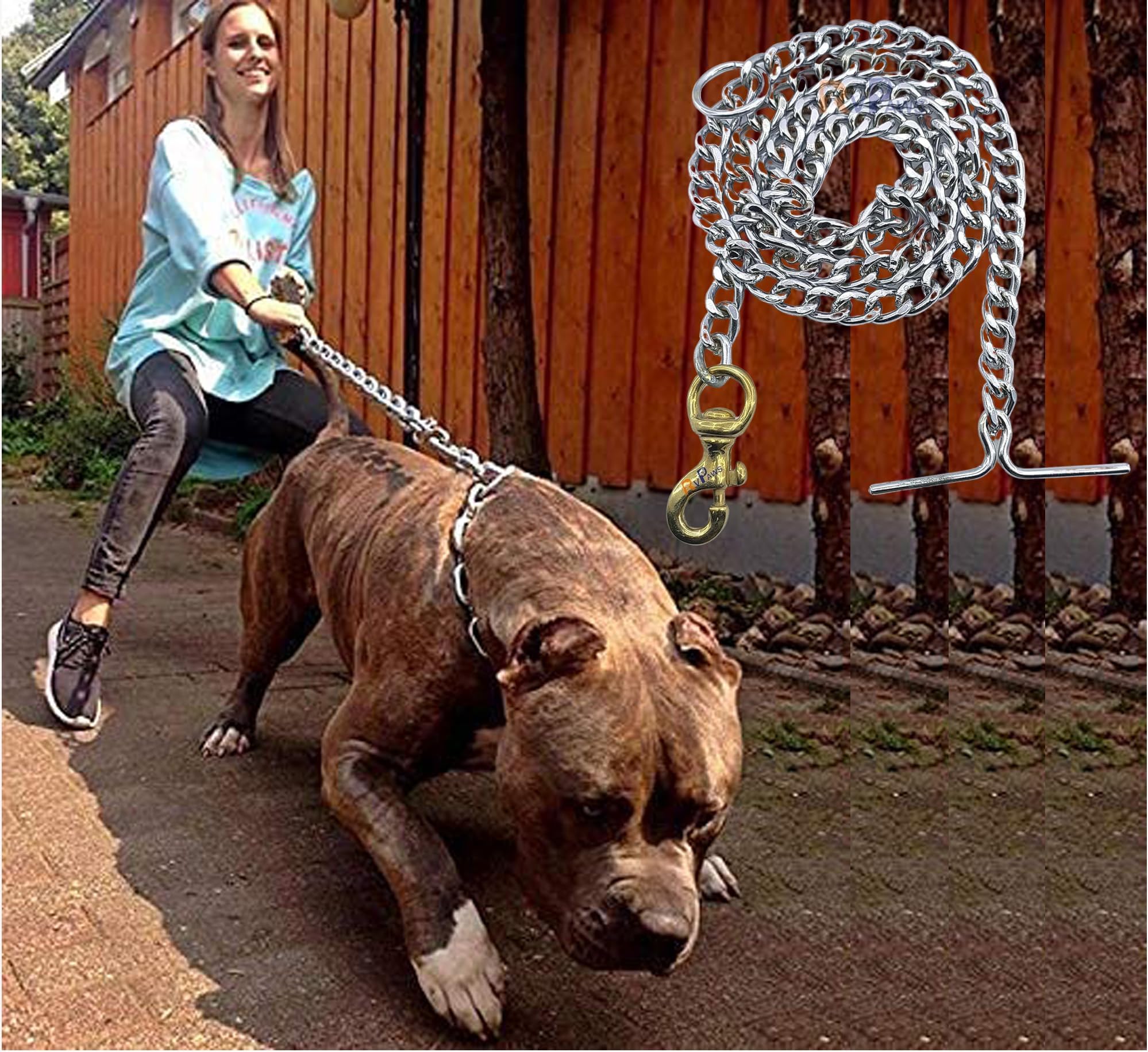 DOG TRUST Dog Stainless Steel 152 CM Long Leash Chain with Strong Brass ...
