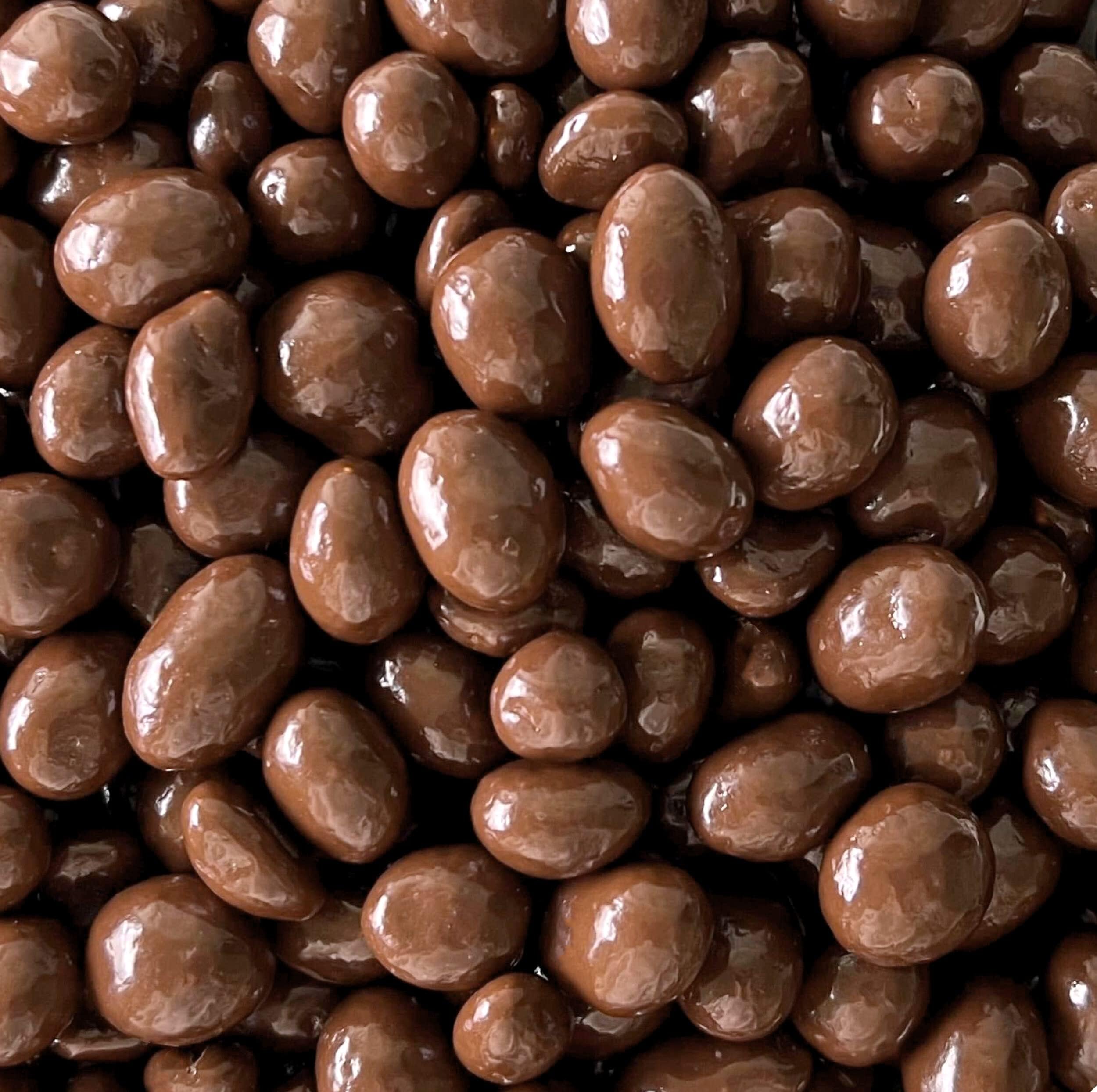 Amazon.com : Chocolate Reindeer Poop (Milk Chocolate Covered Raisins ...