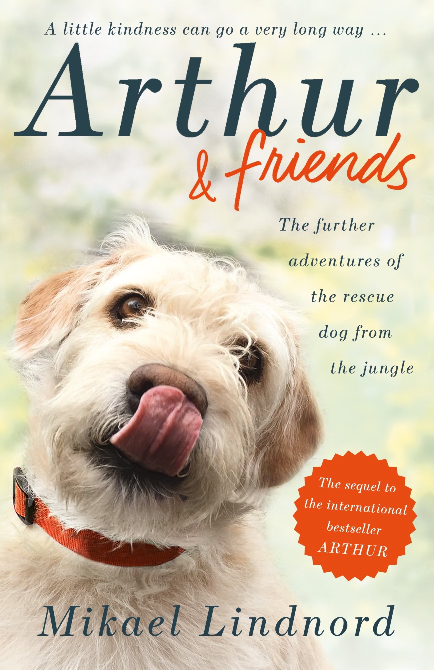 Buy Arthur and Friends: The incredible story of a rescue dog, and how ...