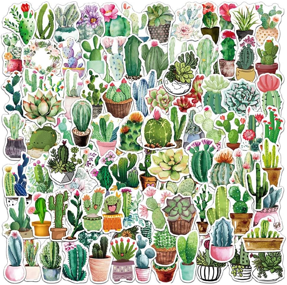 Amazon.com: Watercolor Cute Blooming Cactus - 3" Vinyl Sticker - for ...
