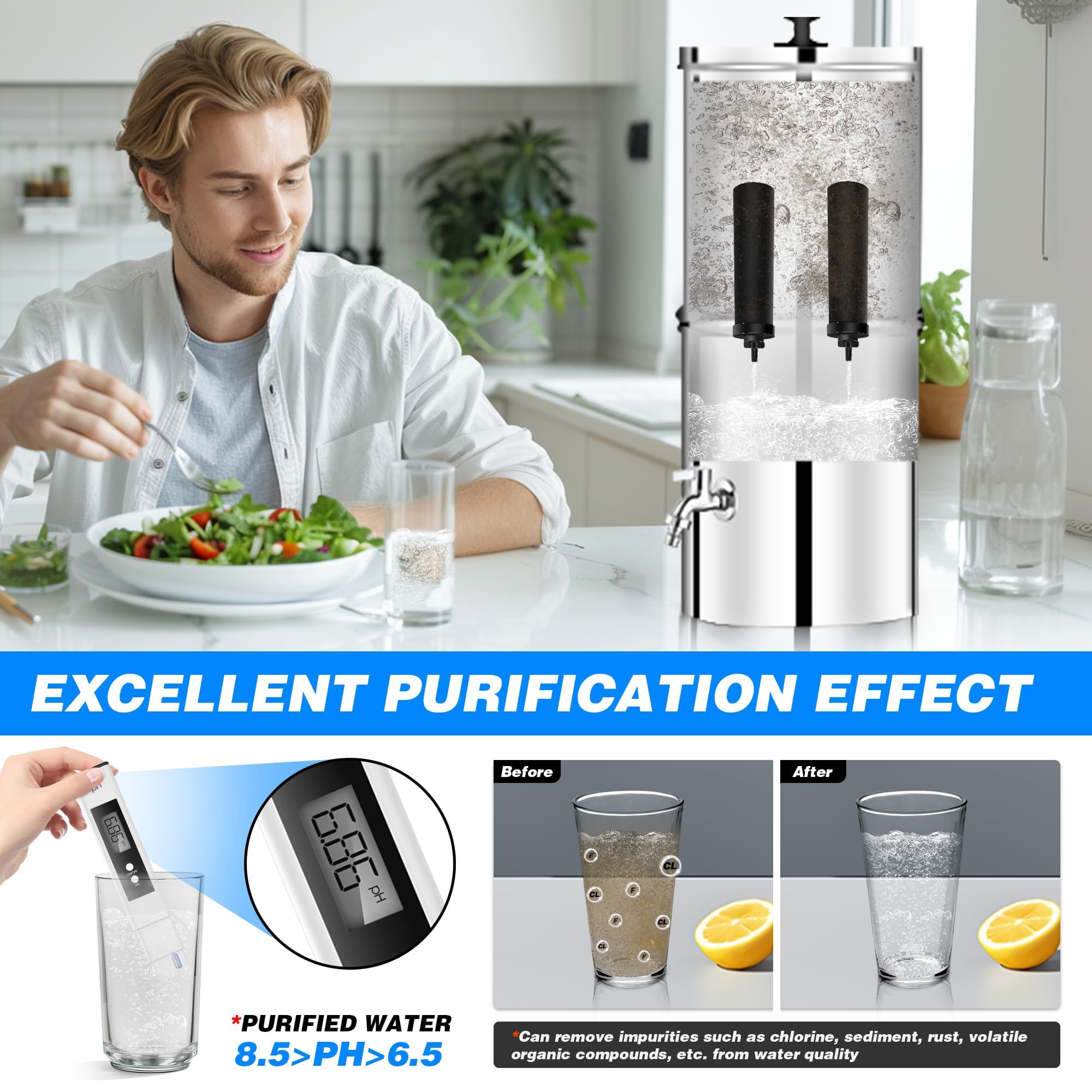 Water Filter, 2 Pack Black Gravity Water Filter Element Cartridge ...