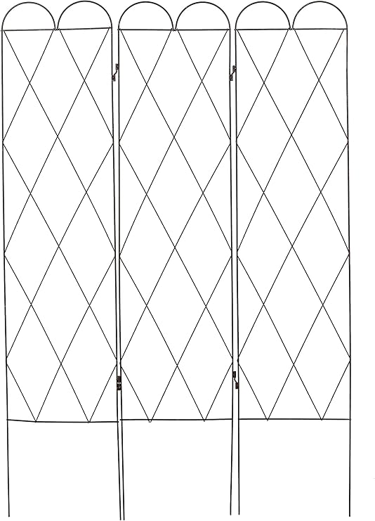 RUDDINGS WOOD Extra Wide Garden Trellis - Rust Effect Wall Climbing ...