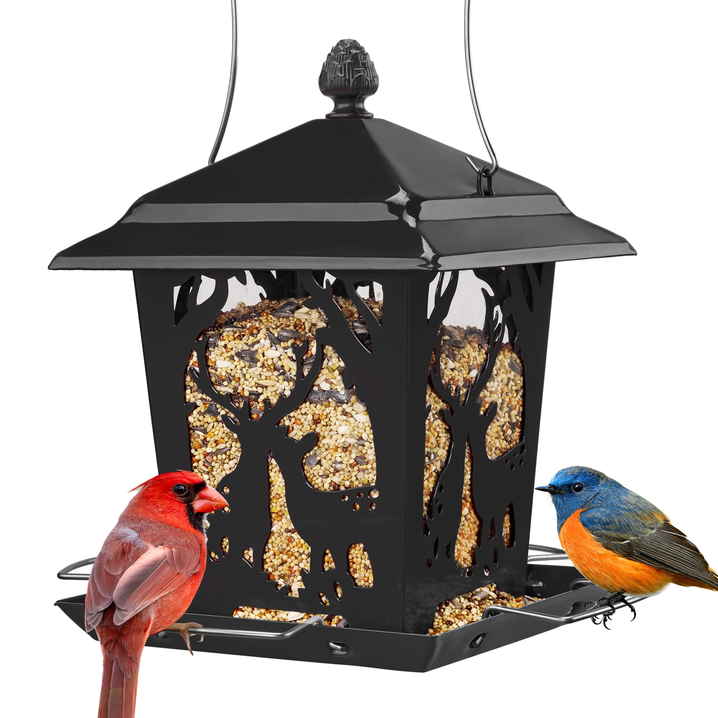 Amazon.com : Kingsyard Metal Bird Feeder for Outdoor Hanging - Unique ...