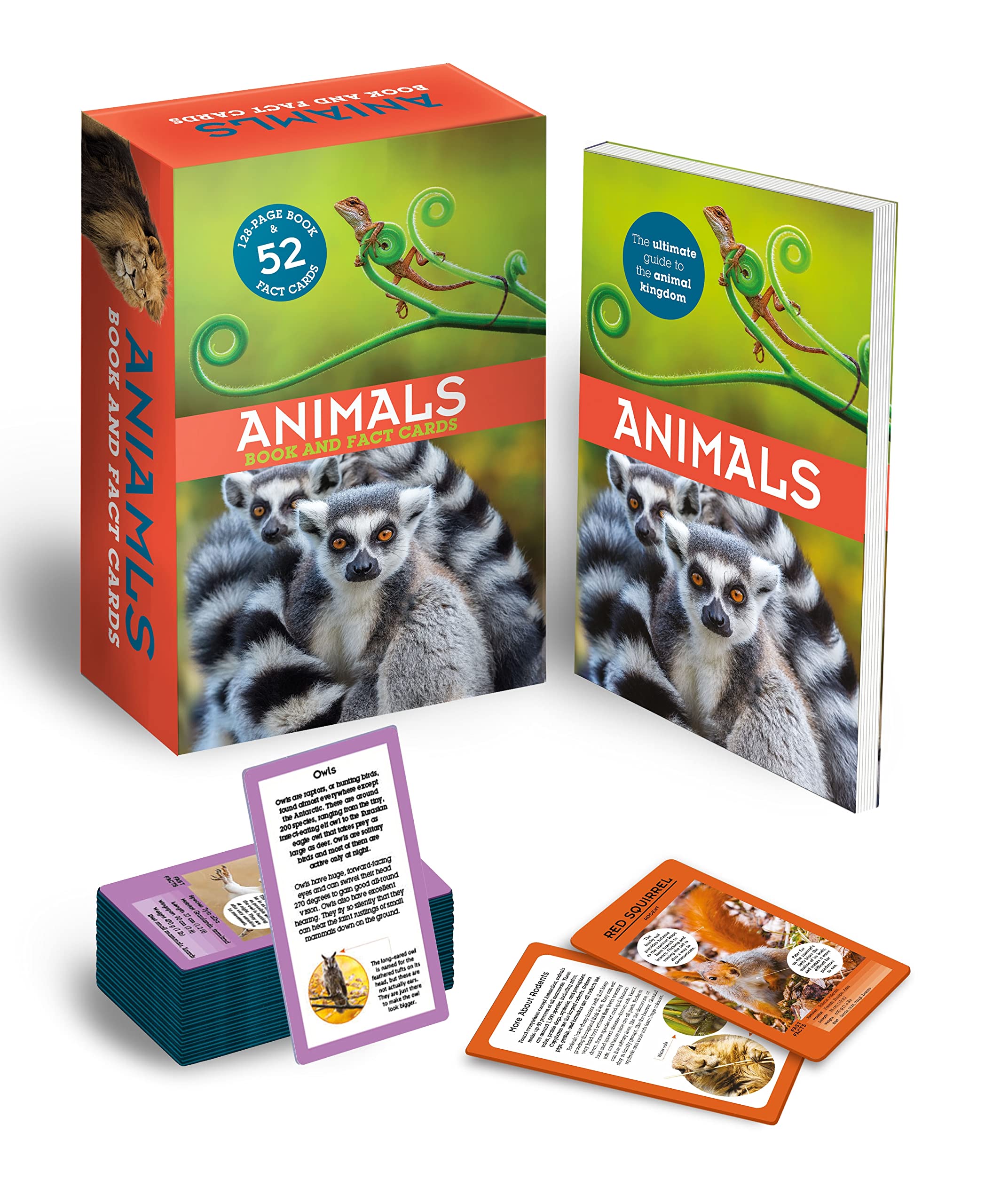 Buy Animals: Book and Fact Cards: The Ultimate Guide to the Animal ...