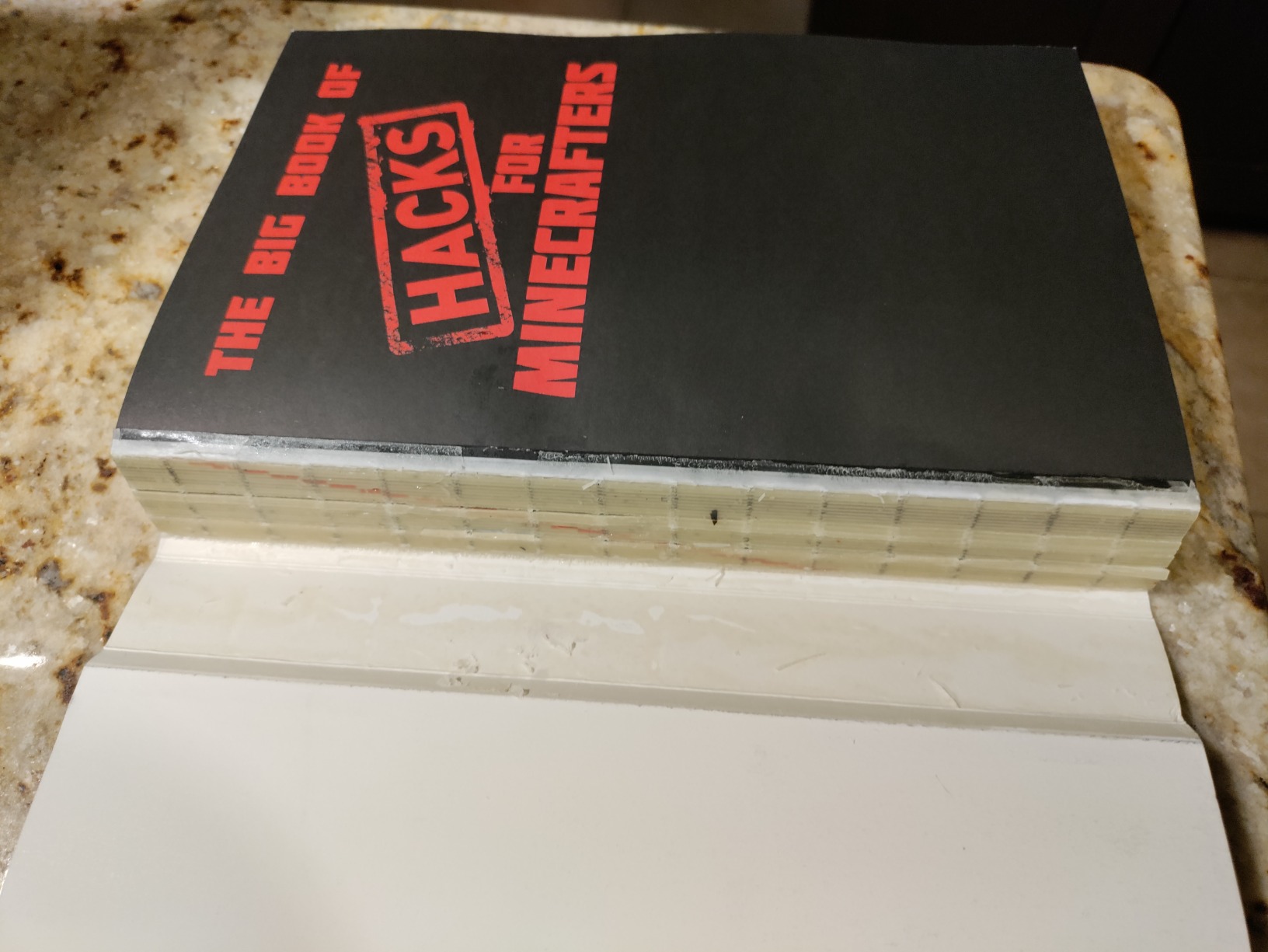 Amazon.com: The Big Book of Hacks for Minecrafters: The Biggest ...