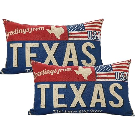 Amazon.com: Catstudio Texas Embroidered Decorative Throw Pillow : Home ...