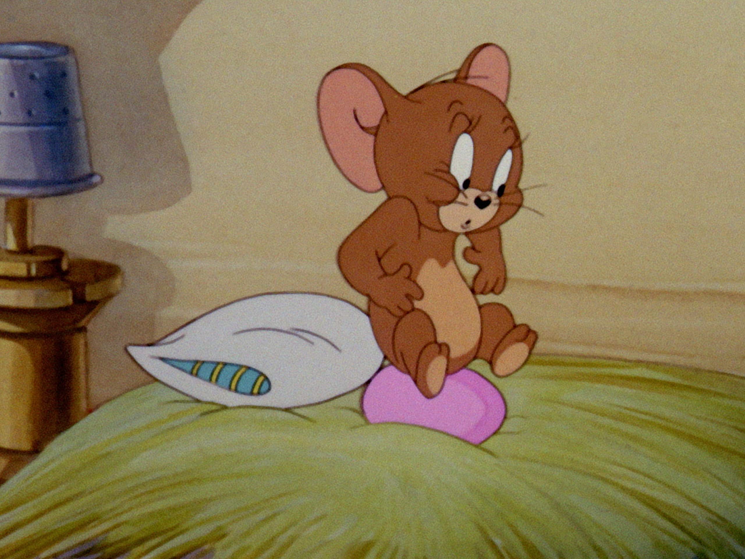 Watch Tom and Jerry - Season 2 | Prime Video