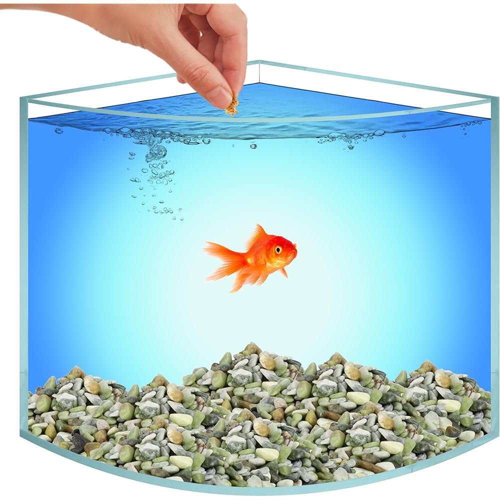 $6/mo - Finance Skywin Corner Aquarium Small Fish Tank - 1.71 Gallon ...