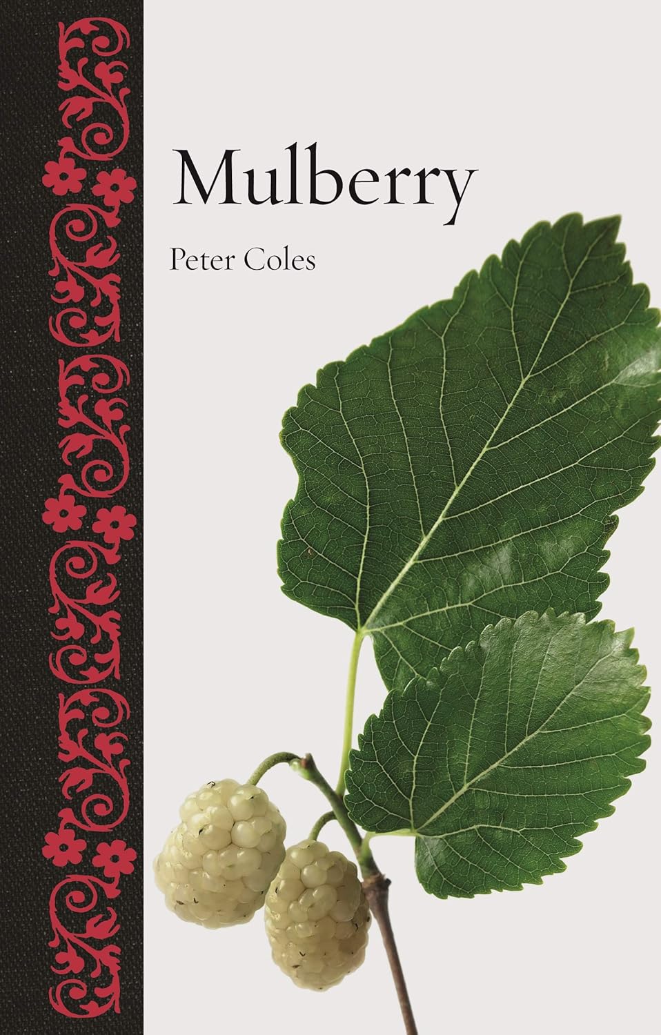 Mulberry (Botanical): Coles, Peter: 9781789141429: Amazon.com: Books