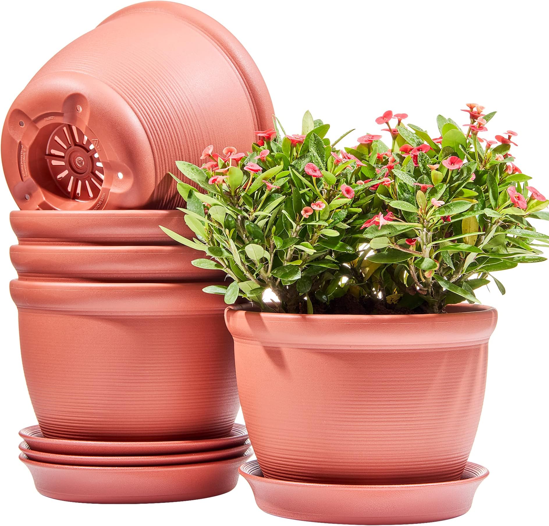 Amazon.com: RooTrimmer 8 Inch Plant Pots, 8 Pack Flower Pots with ...