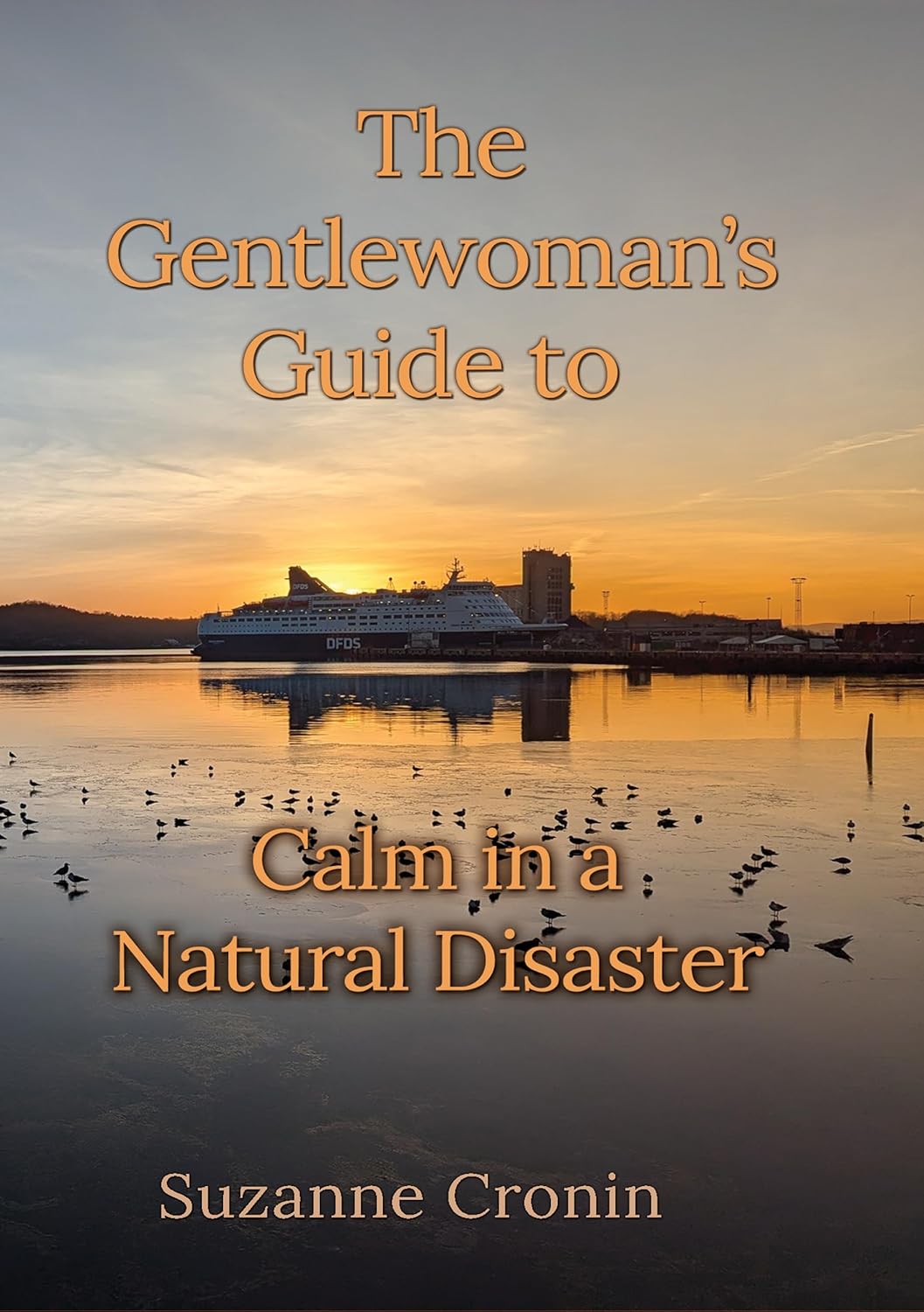 The Gentlewoman's Guide to Calm in a Natural Disaster (English Edition ...
