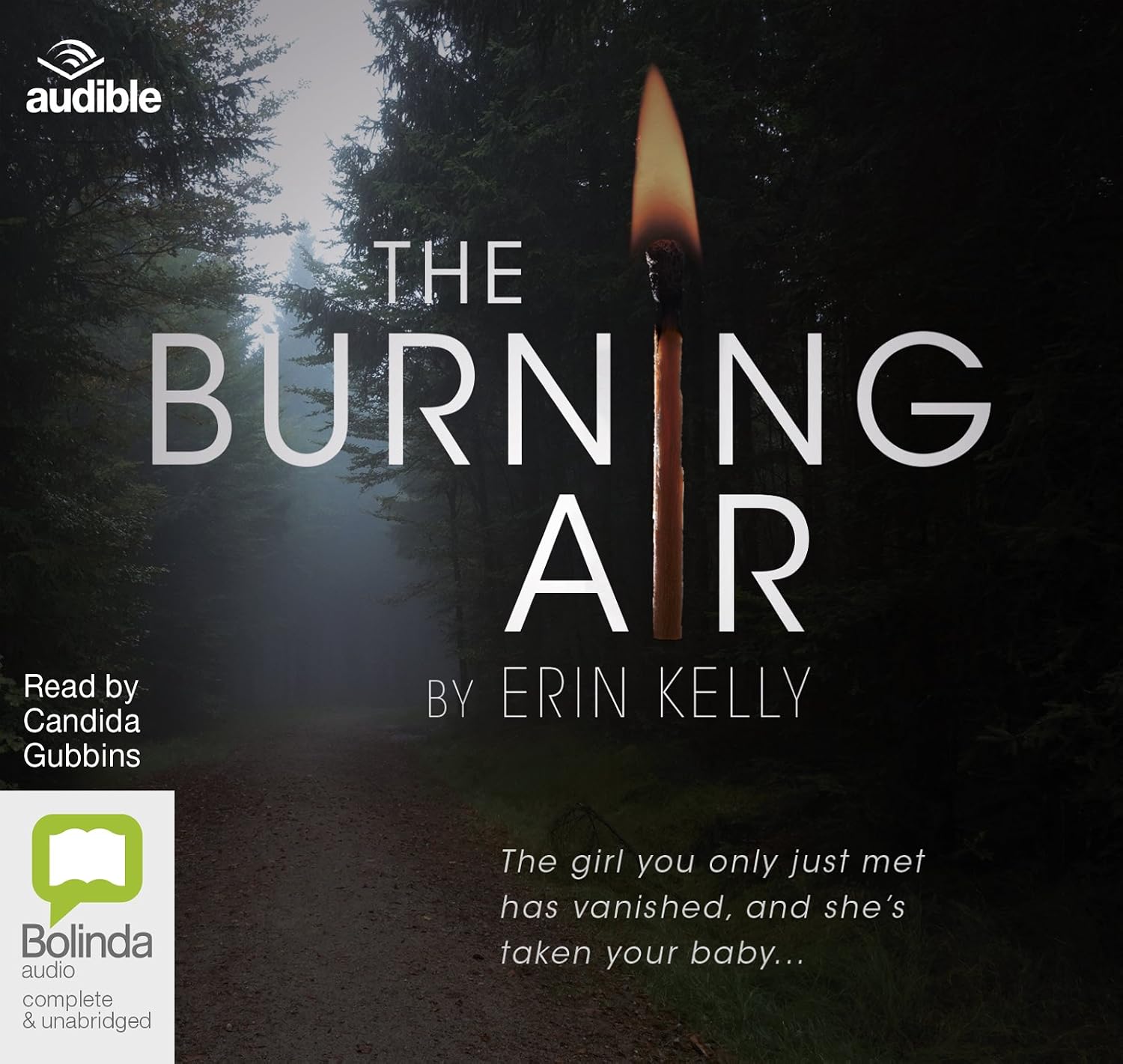The Burning Air : Kelly, Erin, Gubbins, Candida: Amazon.co.uk: Books