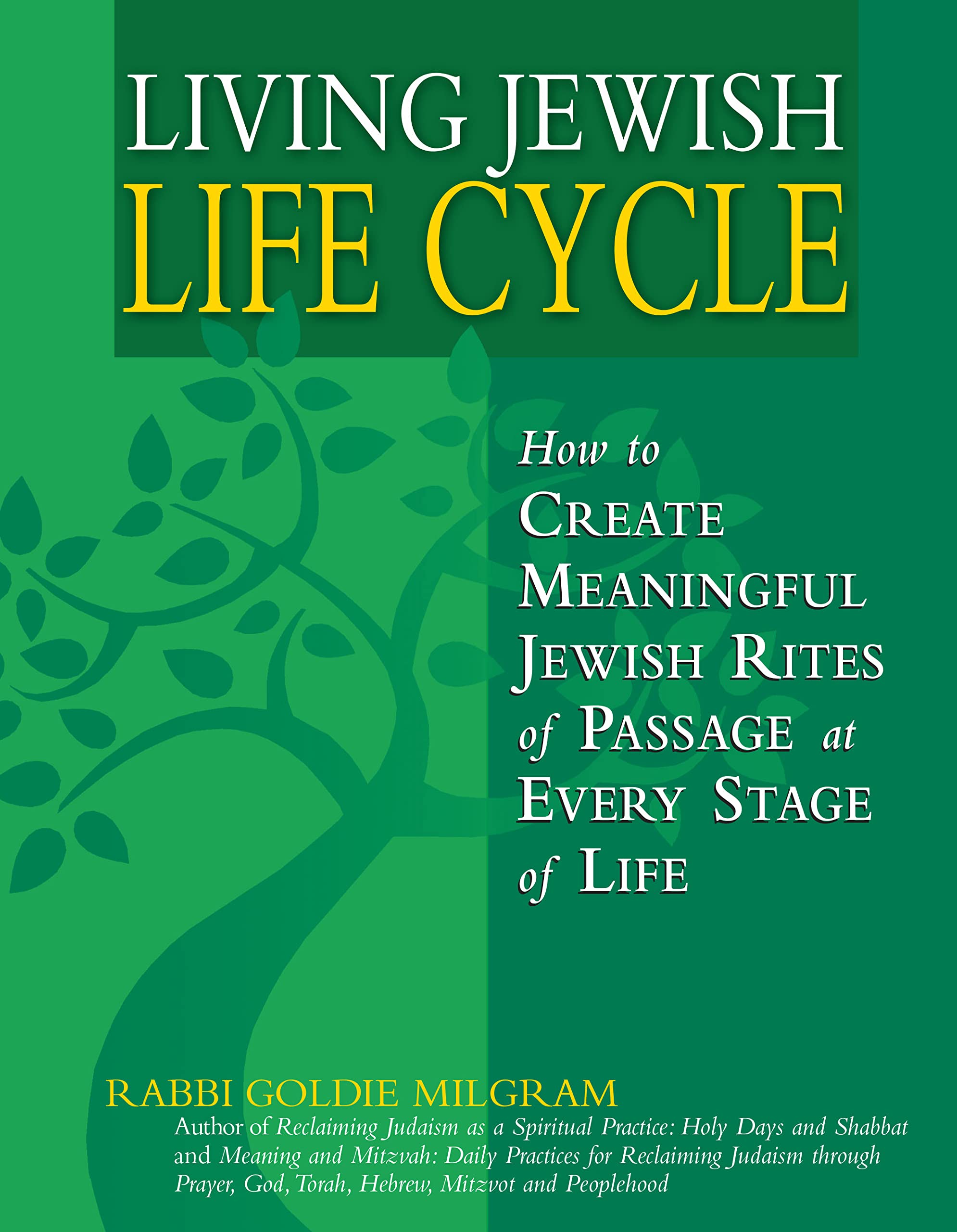 Living Jewish Life Cycle: How to Create Meaningful Jewish Rites of ...