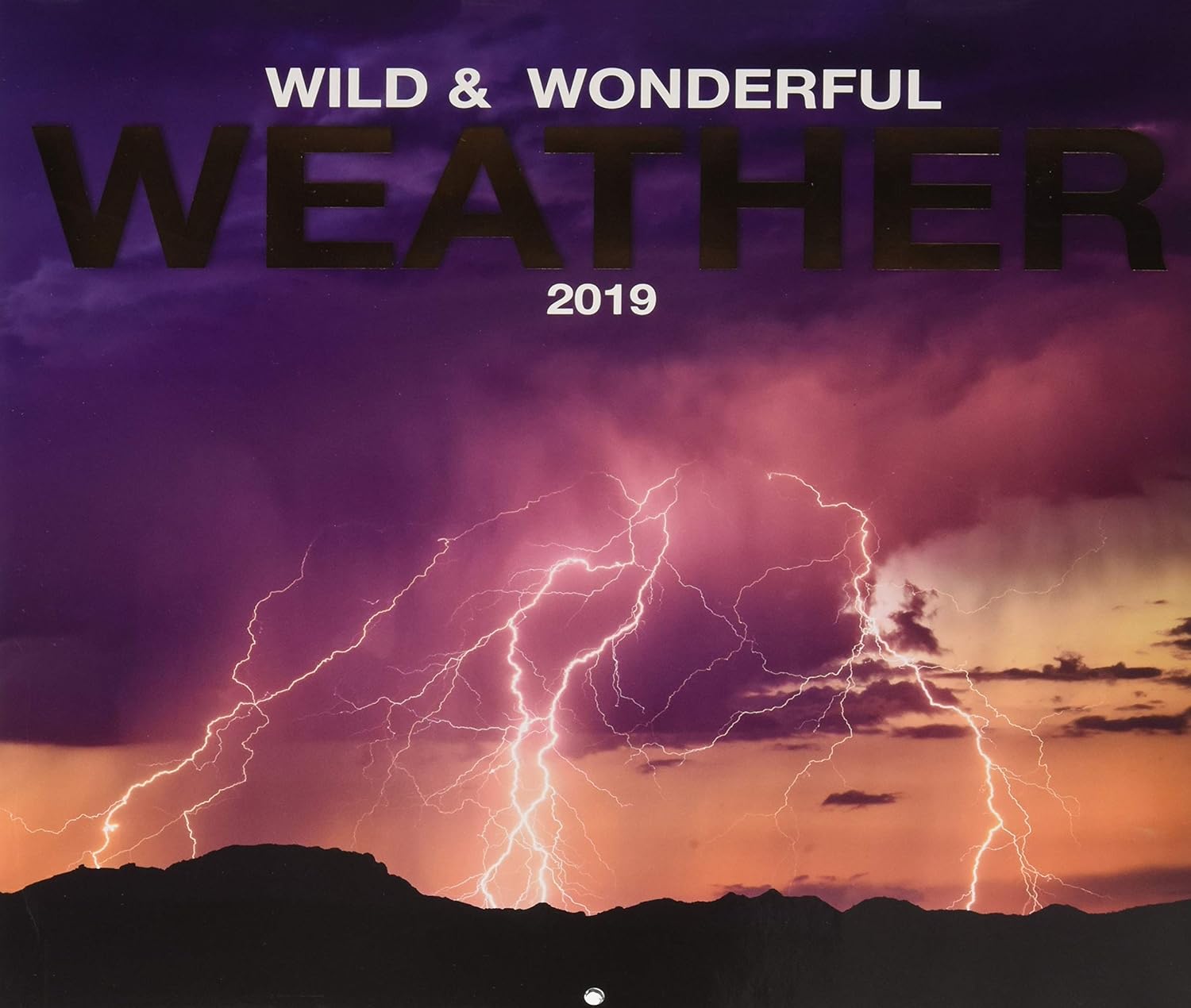 Wild & Wonderful Weather 2019 Calendar: Lang Holdings Inc ...