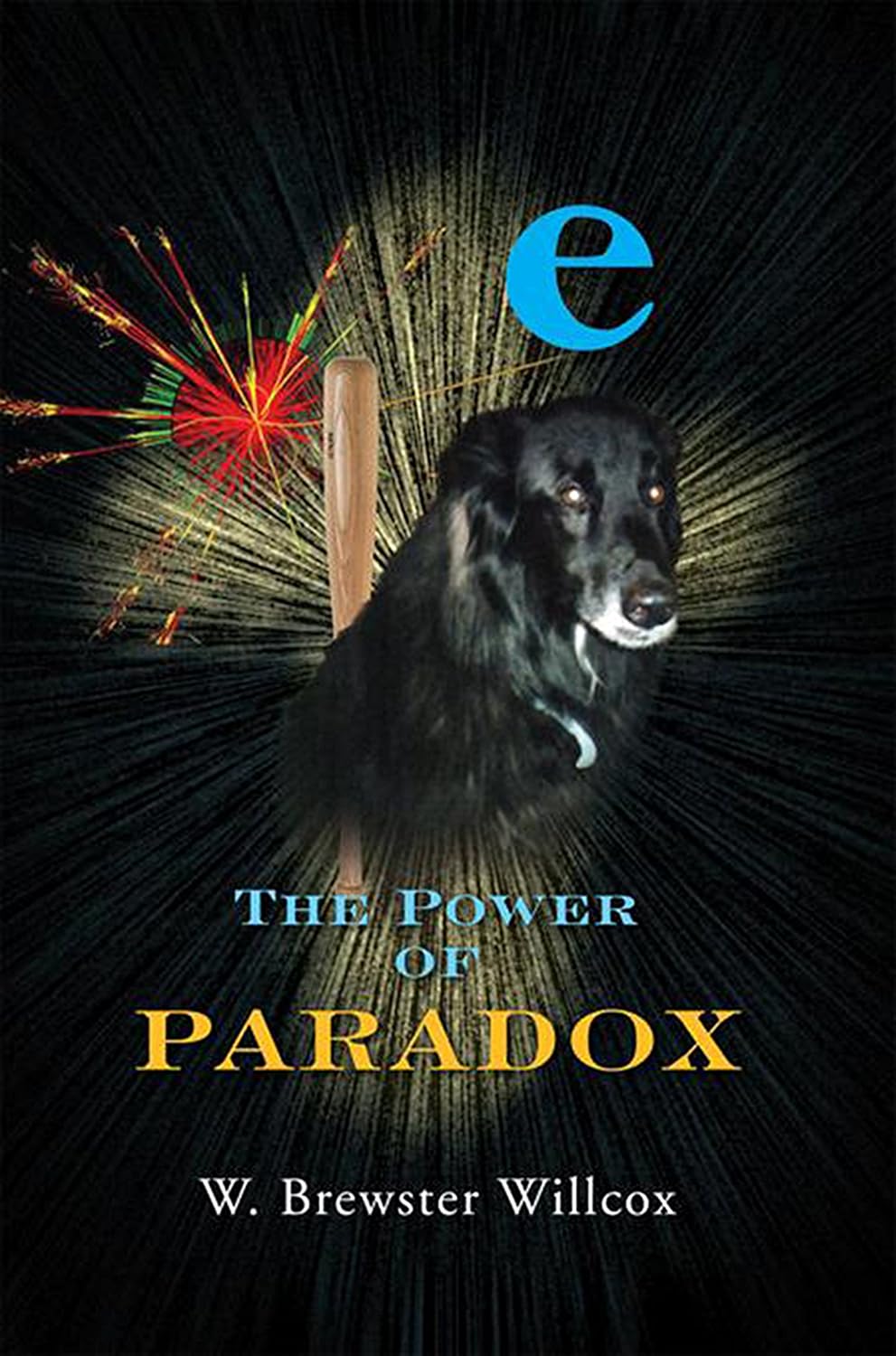 Amazon.com: The Power of Paradox eBook : Willcox, W. Brewster: Kindle Store