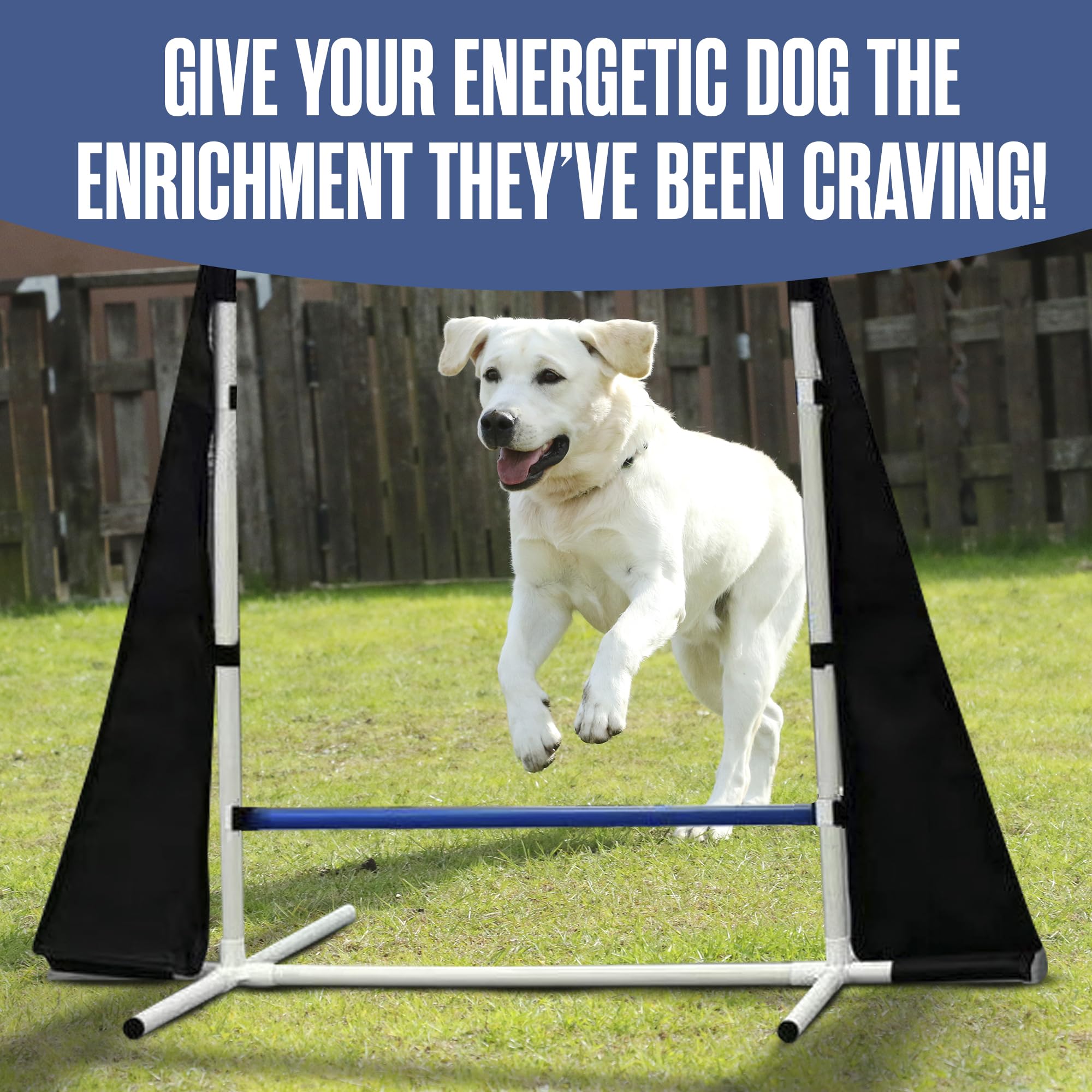 Snapklik.com : Dog Agility Course Backyard Set, Dog Agility Equipment ...