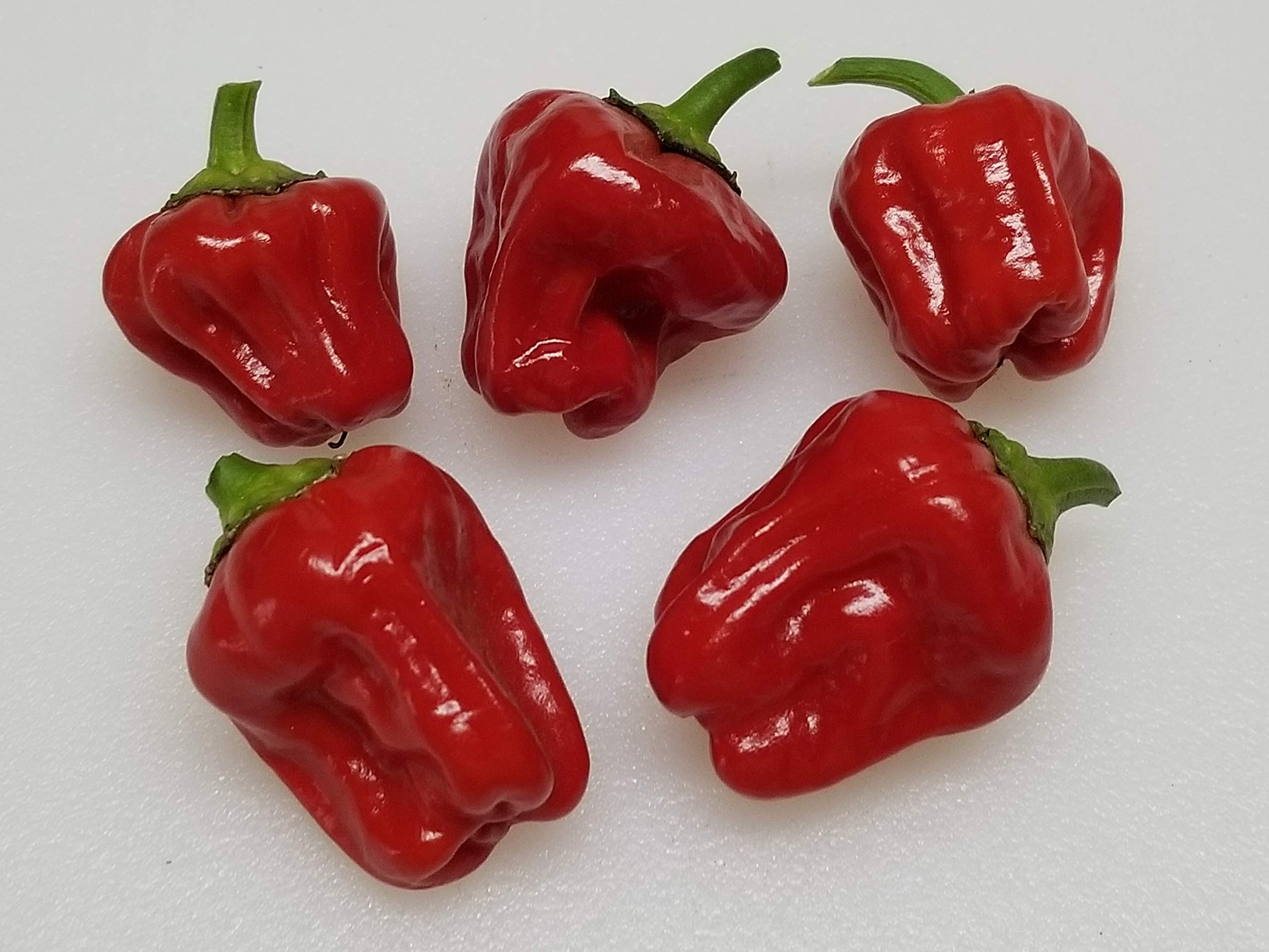 Black Scorpion Pepper Is Hot