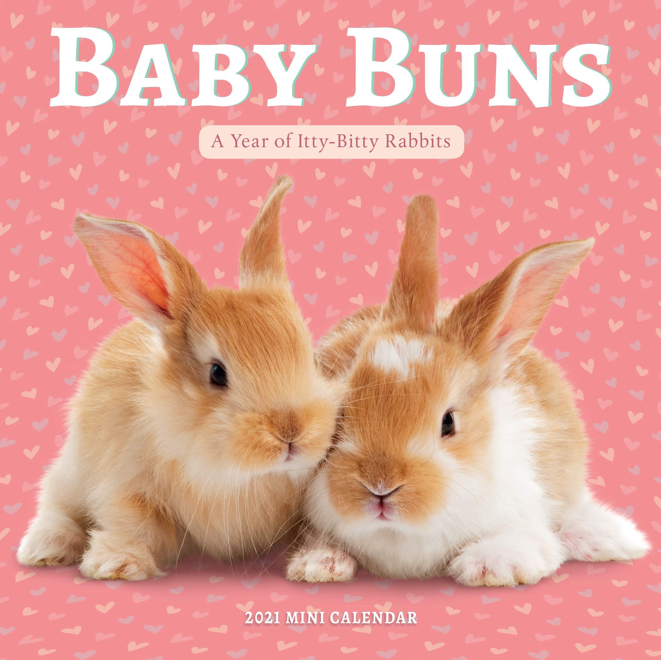 Amazon.com: Baby Buns Mini Wall Calendar 2021: A Year of Itty-Bitty ...