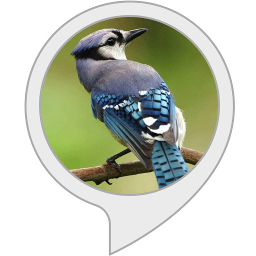 Amazon.com: Bird Sounds : Alexa Skills
