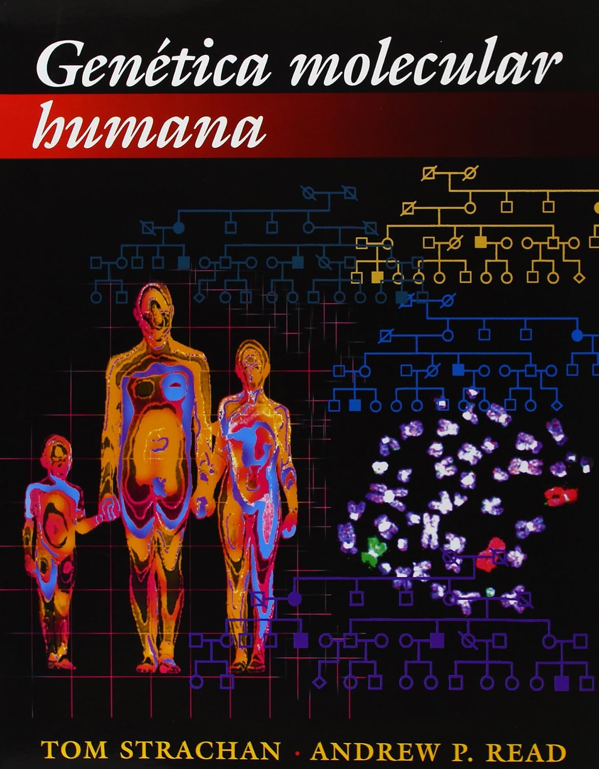GENETICA MOLECULAR HUMANA (GENETICA Y EVOLUCION): Amazon.co.uk ...