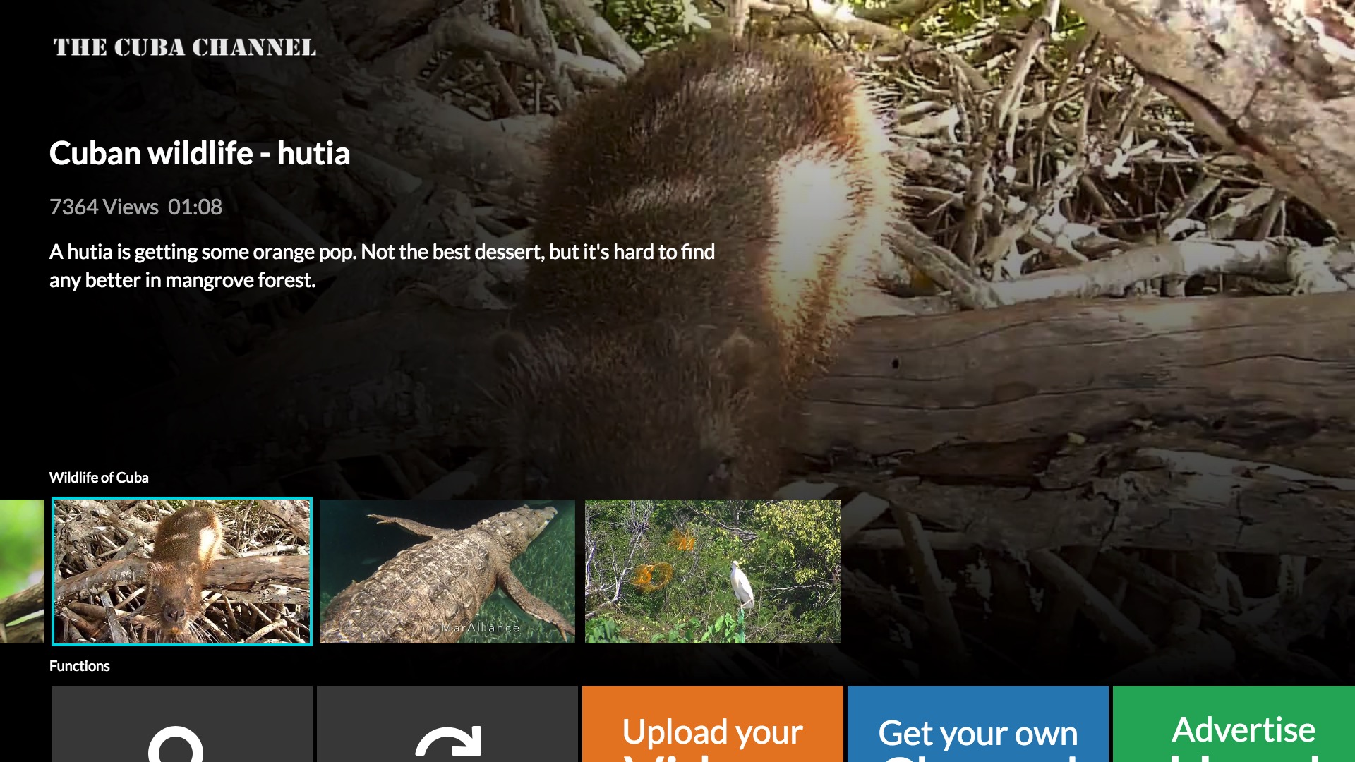 The Cuba Channel - App on Amazon Appstore