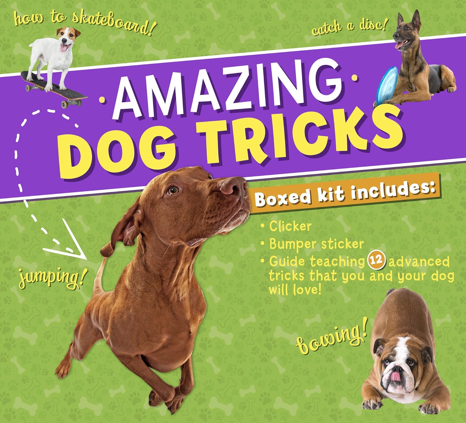 Amazing Dog Tricks Boxed Kit: Publications International Ltd ...