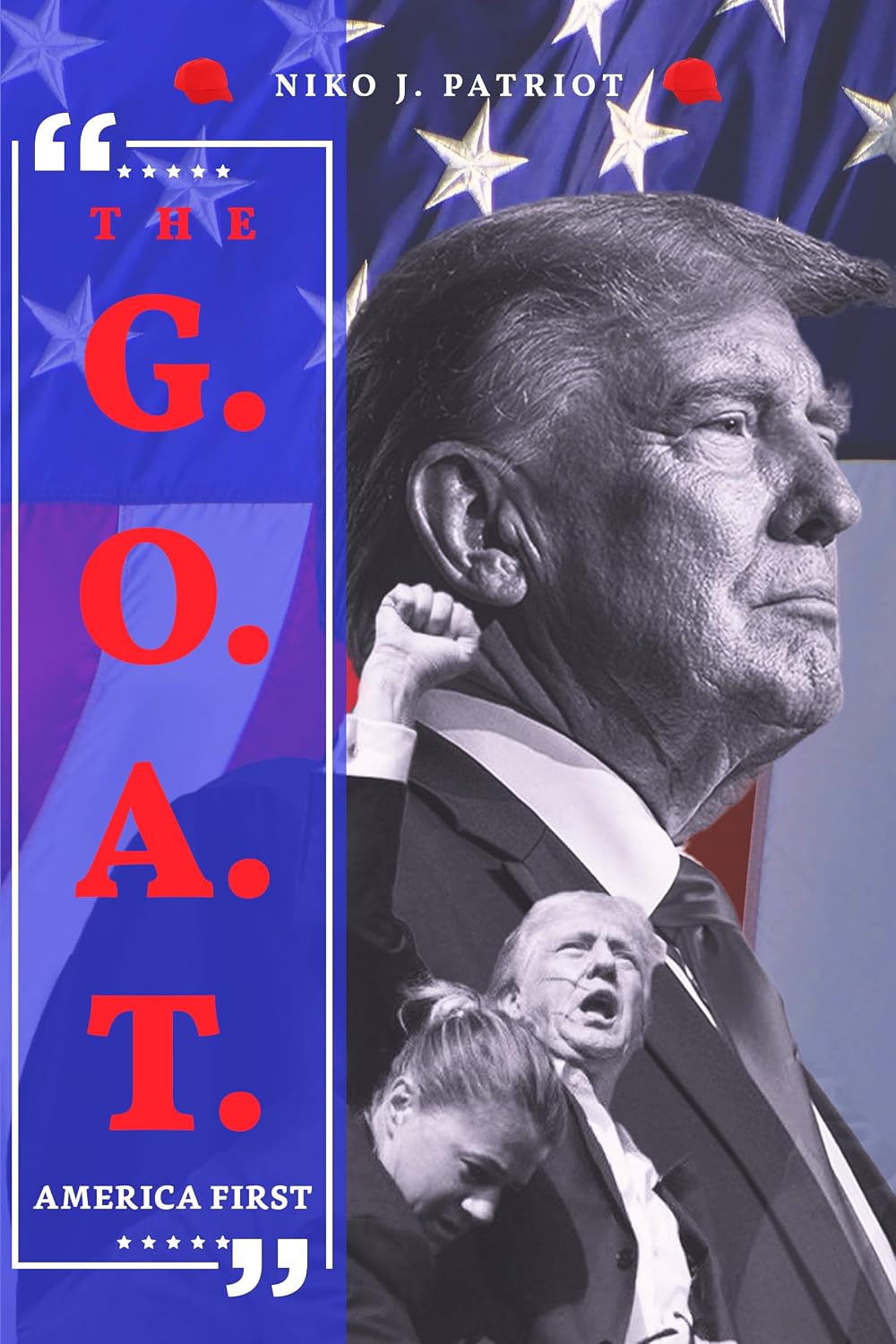 Amazon.com: The G.O.A.T.: America First eBook : Patriot, Niko J ...