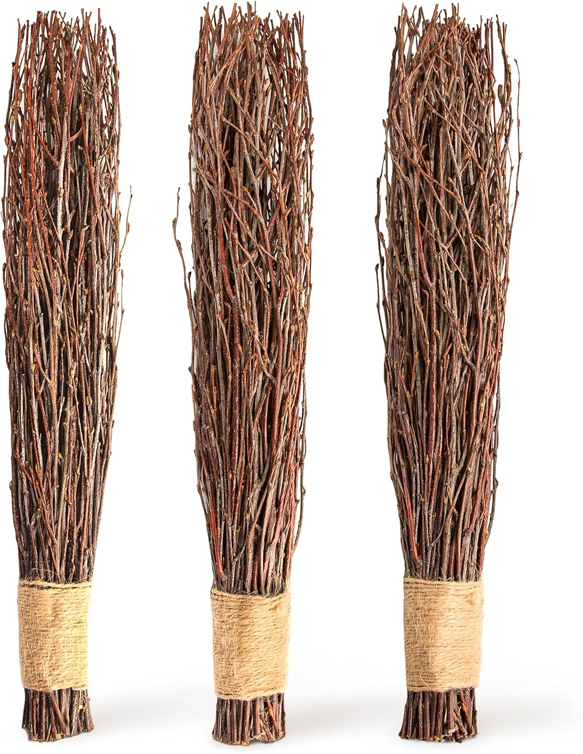 Amazon.com: RAWOODAR 100% Natural Birch Twigs - 17 Inch Dried Plants ...