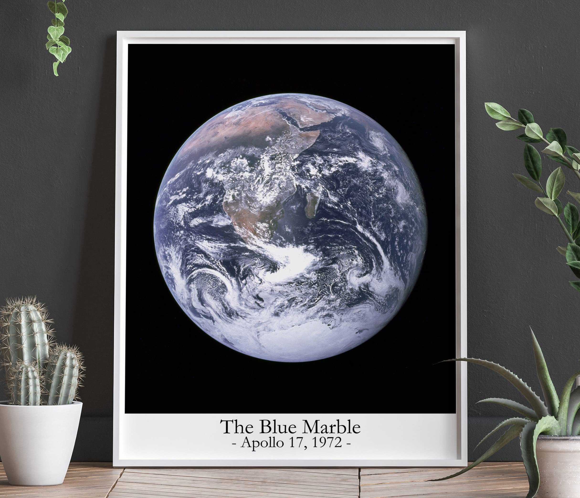 Whole Earth Apollo 17