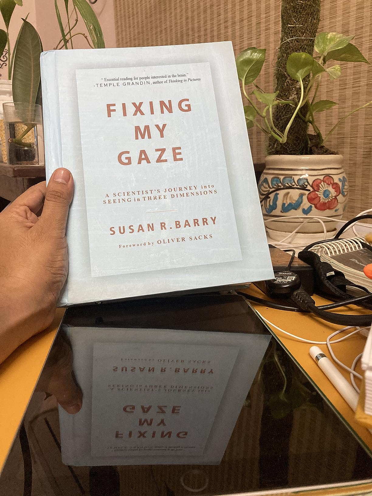 Fixing My Gaze: A Scientist's Journey Into Seeing in Three Dimensions ...