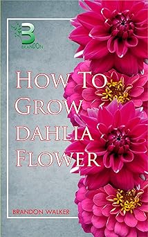 HOW TO GROW DAHLIA FLOWER : Beginners Guide To Growing, Caring and ...