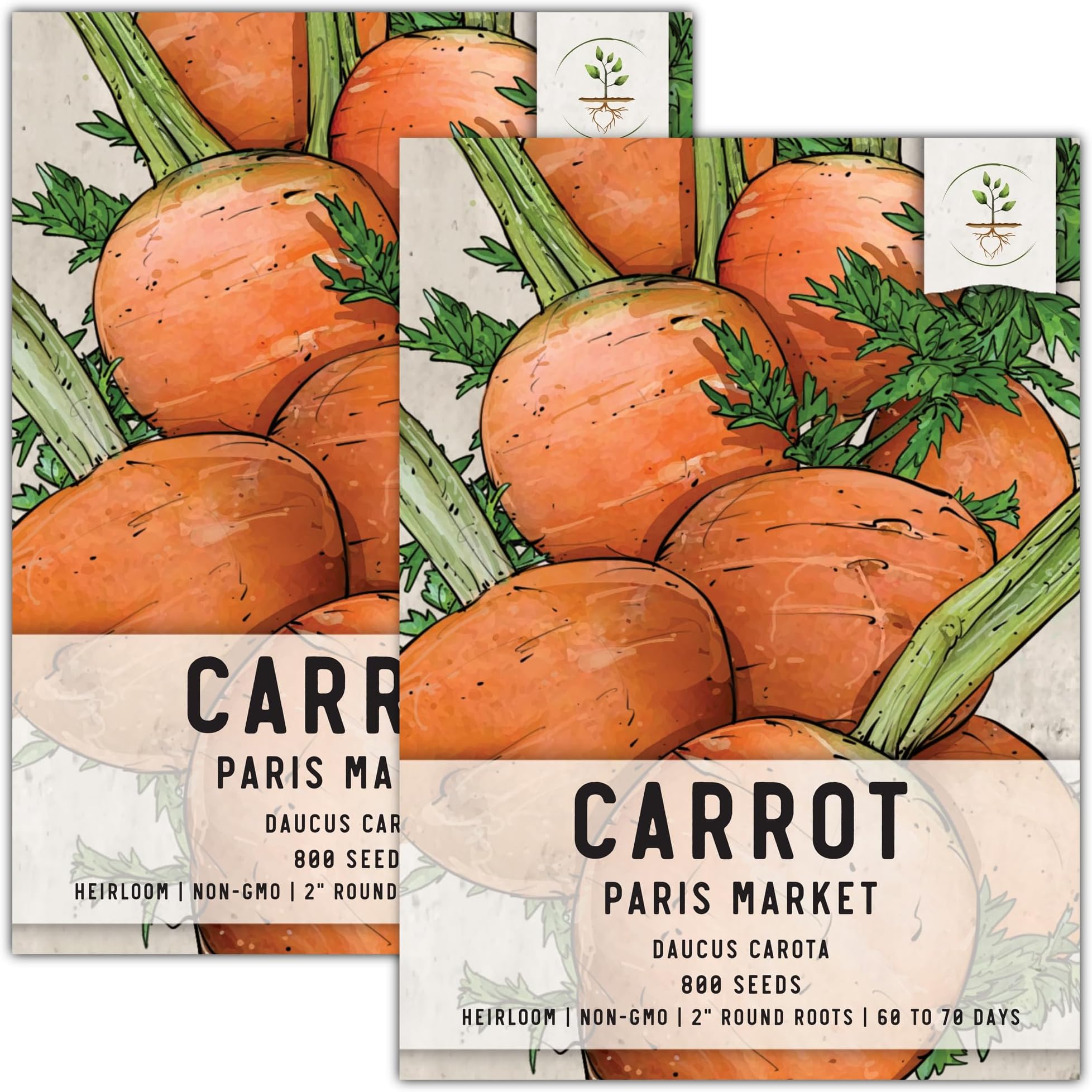 Amazon.com : 1000 Royal Chantenay Carrot Seeds for Planting - Heirloom ...