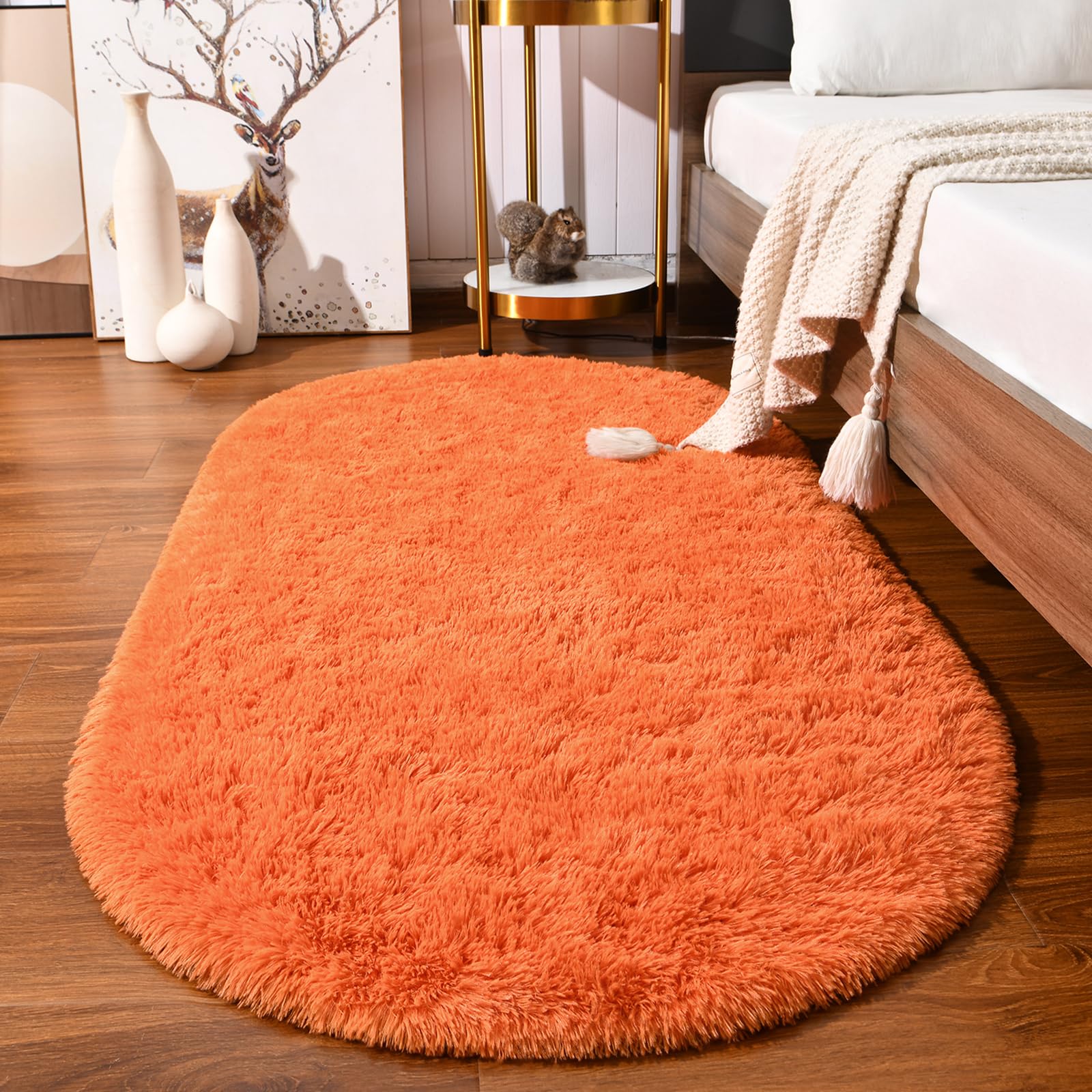 Amazon.com: Softlife Fluffy Rugs for Bedroom, Shag Cute Area Rug for ...