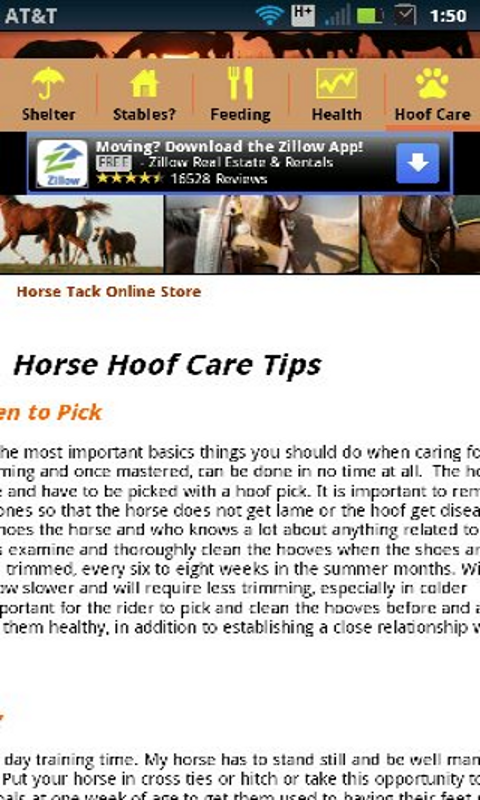 My First Horse!!! - App on Amazon Appstore