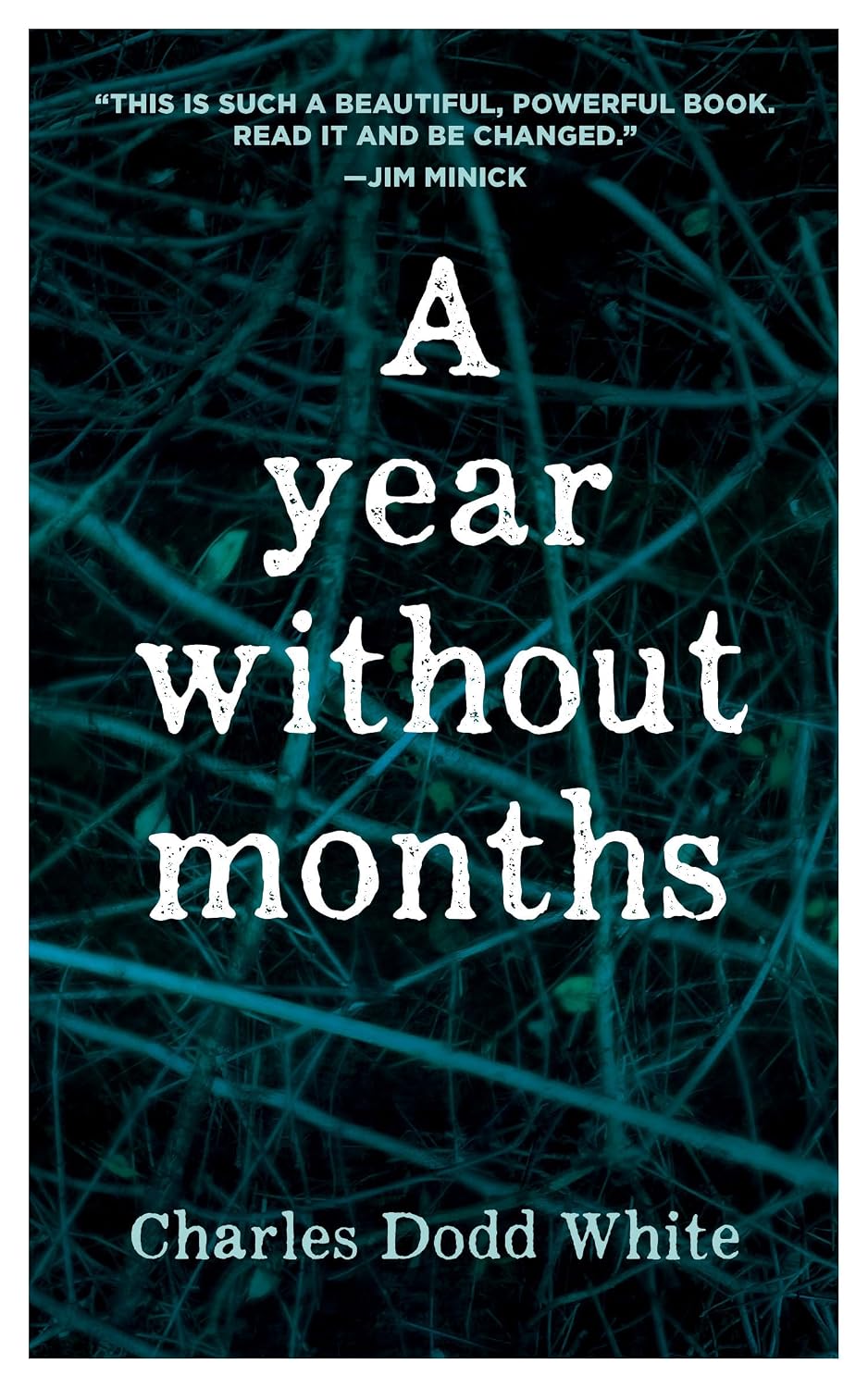 A Year without Months (In Place): White, Charles Dodd: 9781952271526 ...