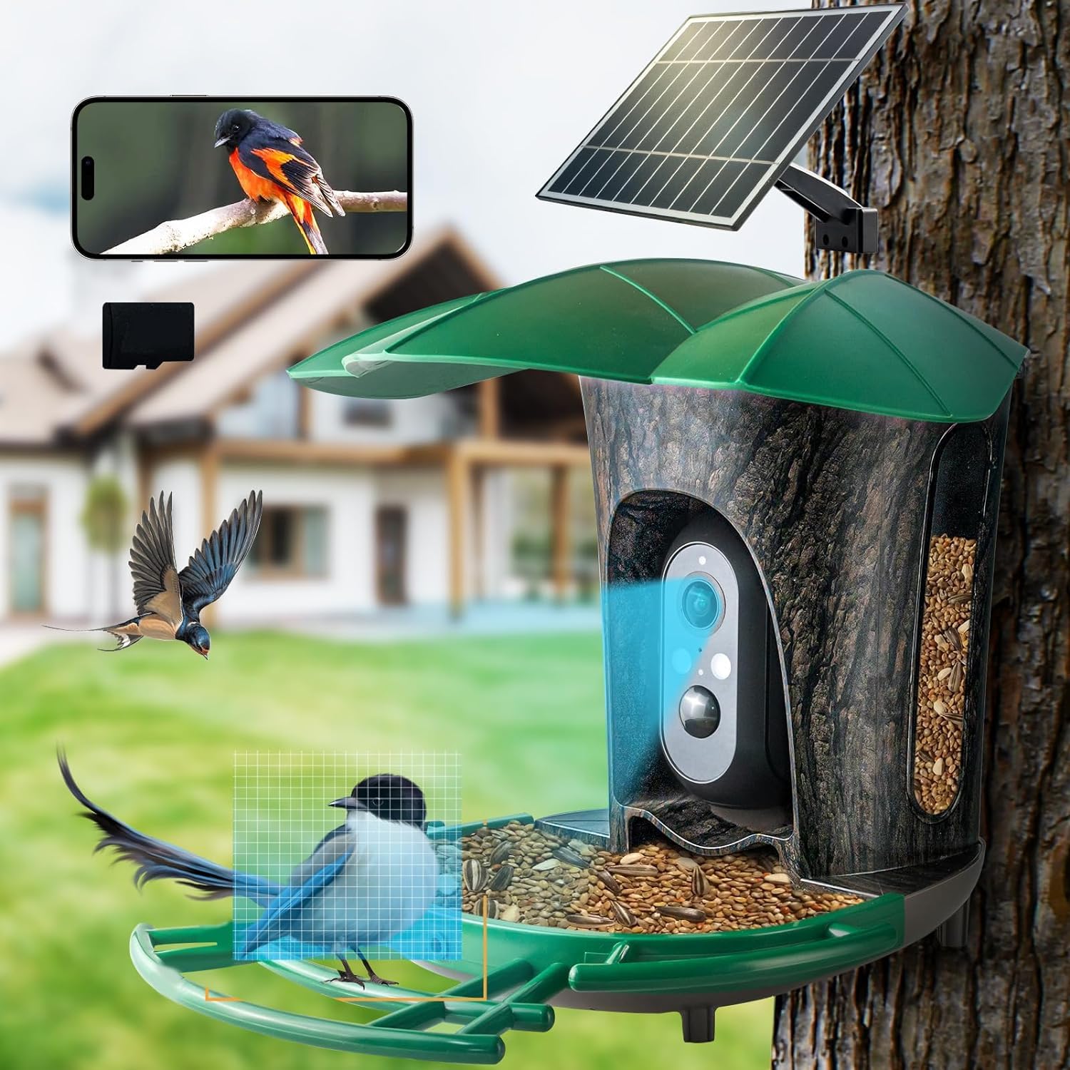 Amazon.com : Solar Powered Smart Bird Feeder with 4MP 1080P Camera, AI ...