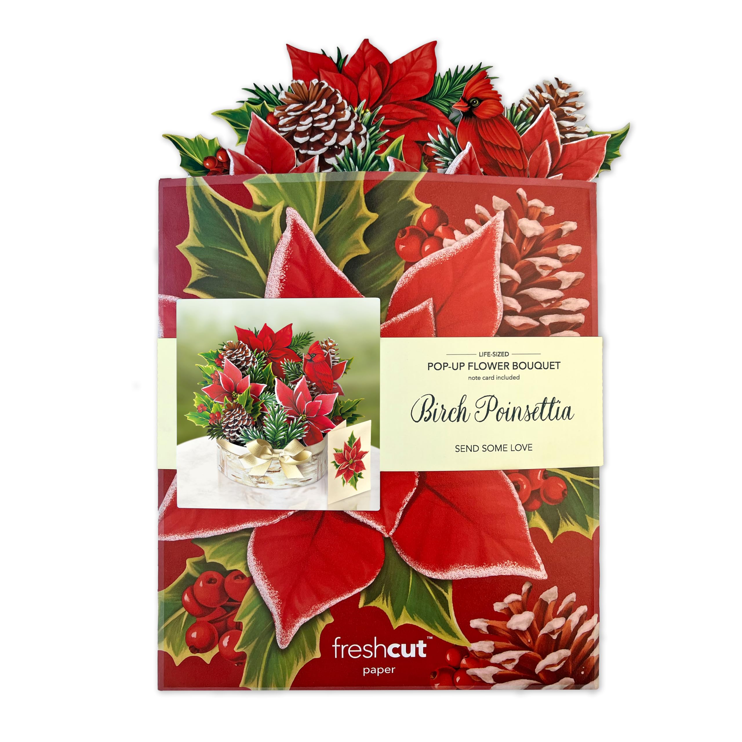 Snapklik.com : Freshcut Paper Pop Up Cards, Birch Poinsettia, 9.5 Inch ...