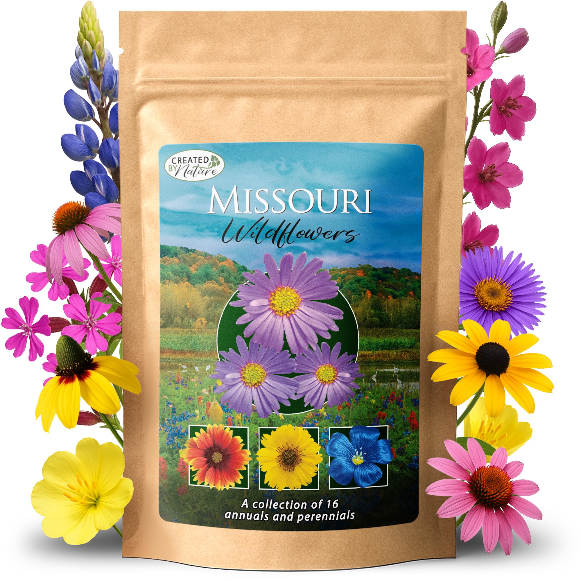 Missouri Wildflower Seed Pods