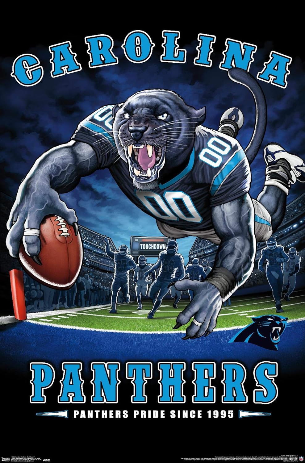 Amazon.com: Trends International NFL Carolina Panthers - End Zone 17 ...