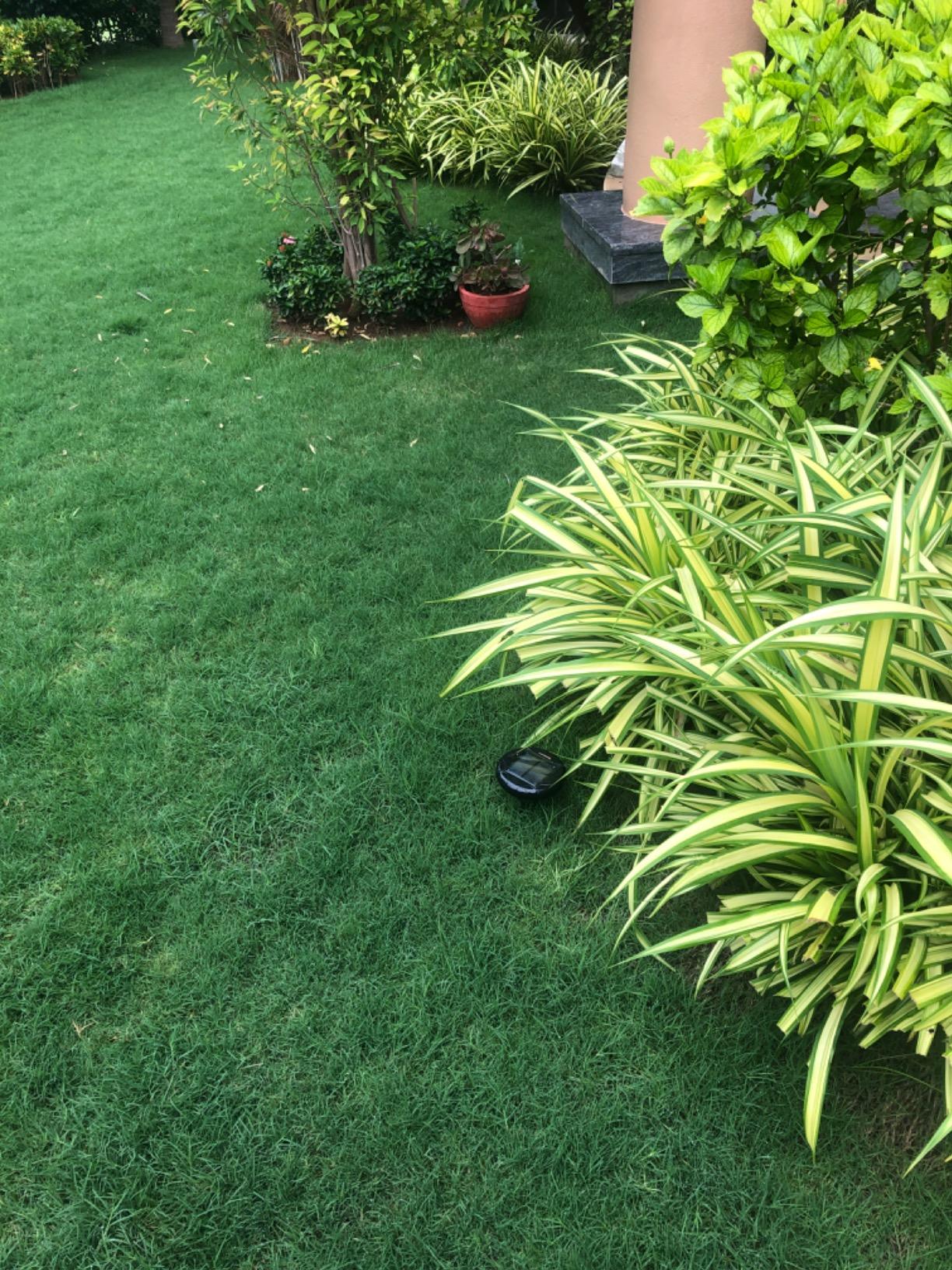 Nuance Ultrasonic Waves Solar Snake Repeller, Snake Repellent, Snake ...