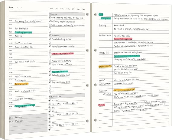EMSHOI Daily Planner Refill 8.5" X 11", 80 Sheets, 160 Pages A4 4-Ring ...