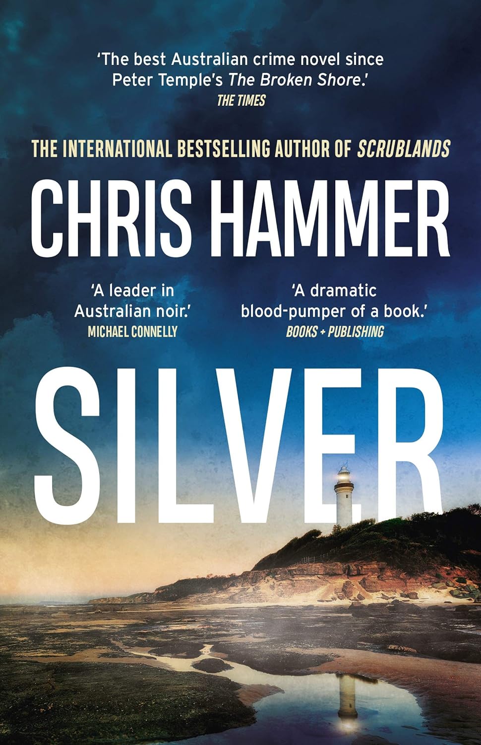 Silver: Hammer, Chris: 9781760878658: Amazon.com: Books