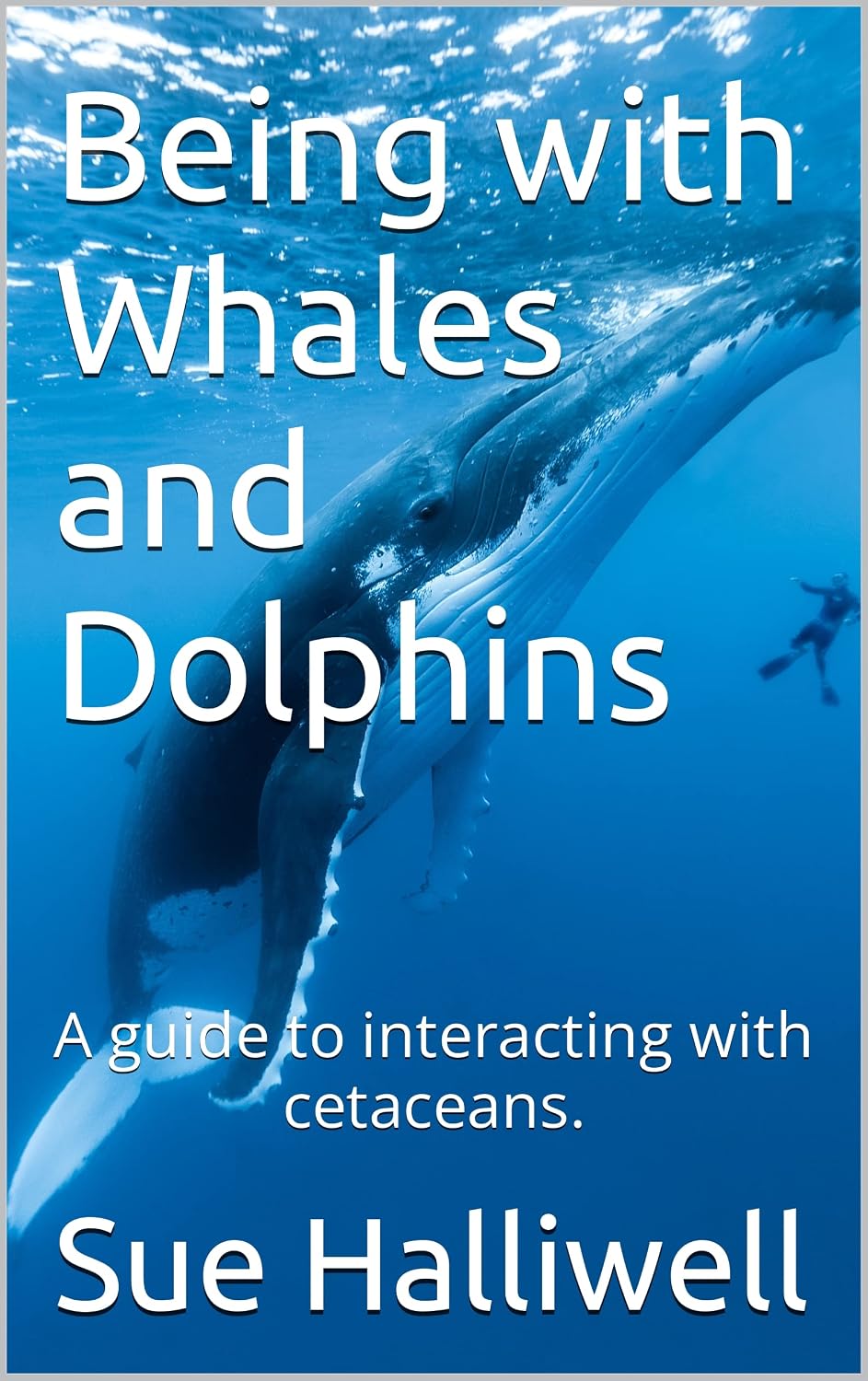 Being with Whales and Dolphins: A guide to interacting with cetaceans ...