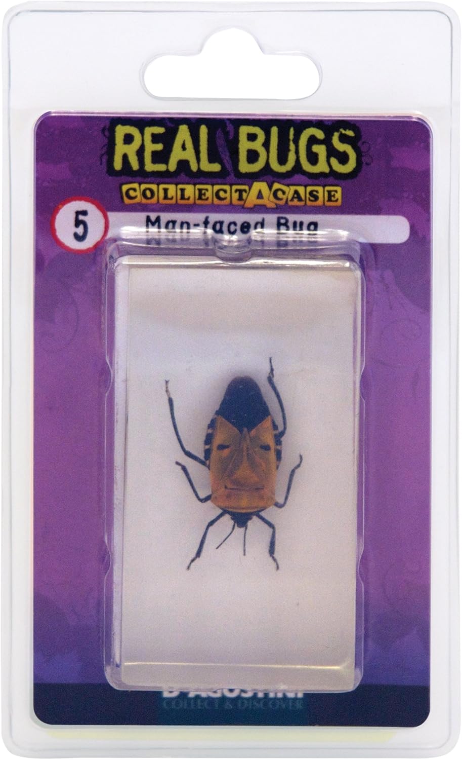 Amazon.com: DeAgostini Real Bugs Man Faced Bug : Toys & Games