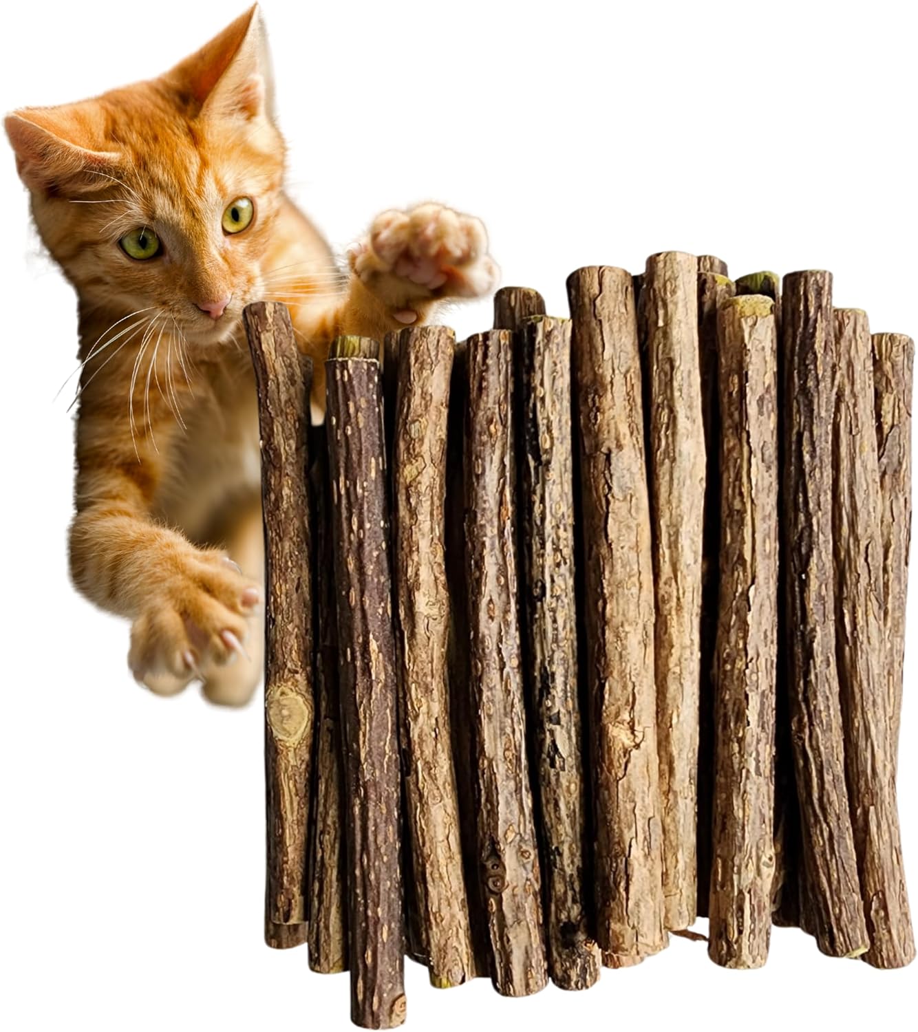 Amazon.com : ME GUSTA PET Cat Toys Silvervine Sticks for Cats ...